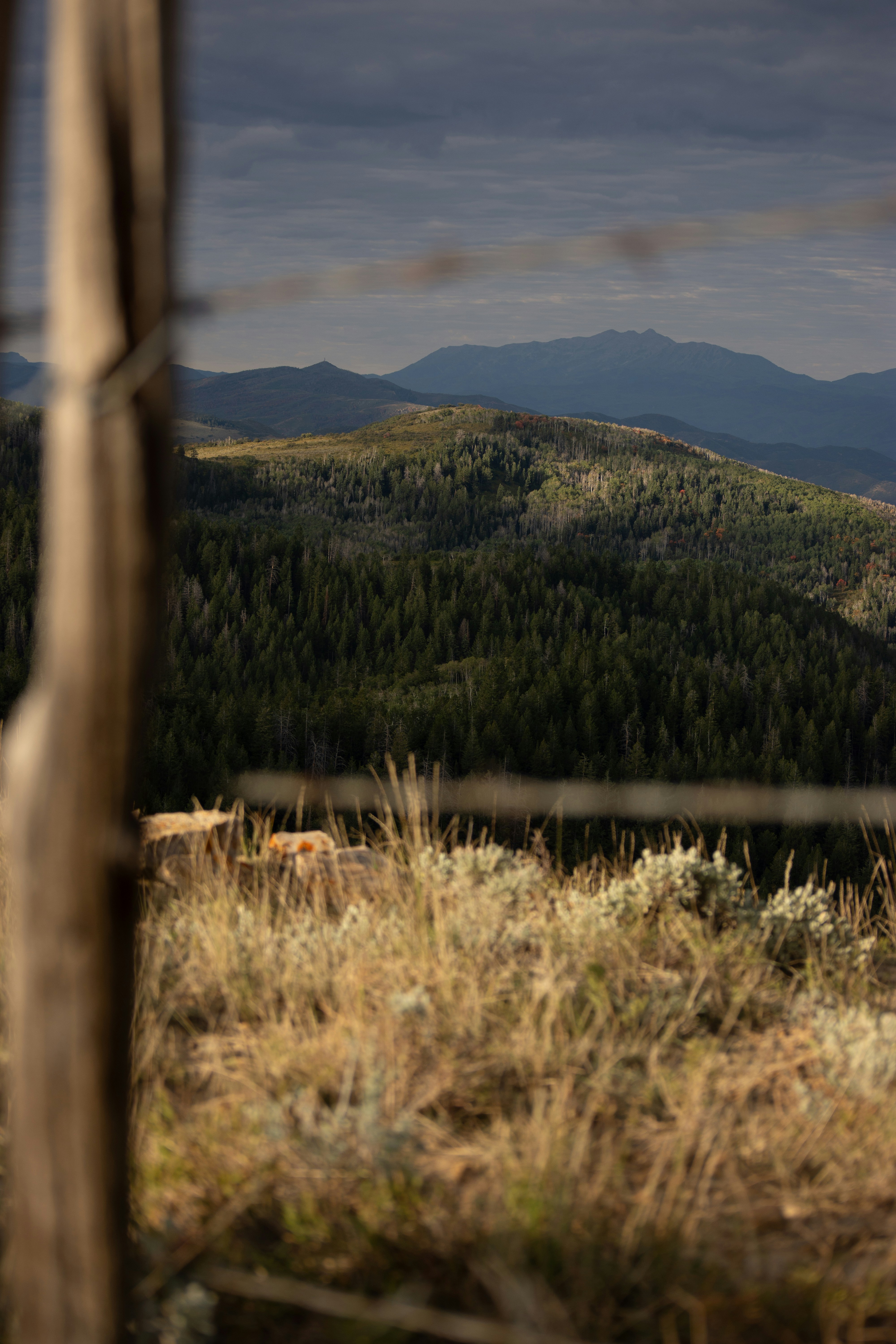 Mountain Crest through Weathered Fence