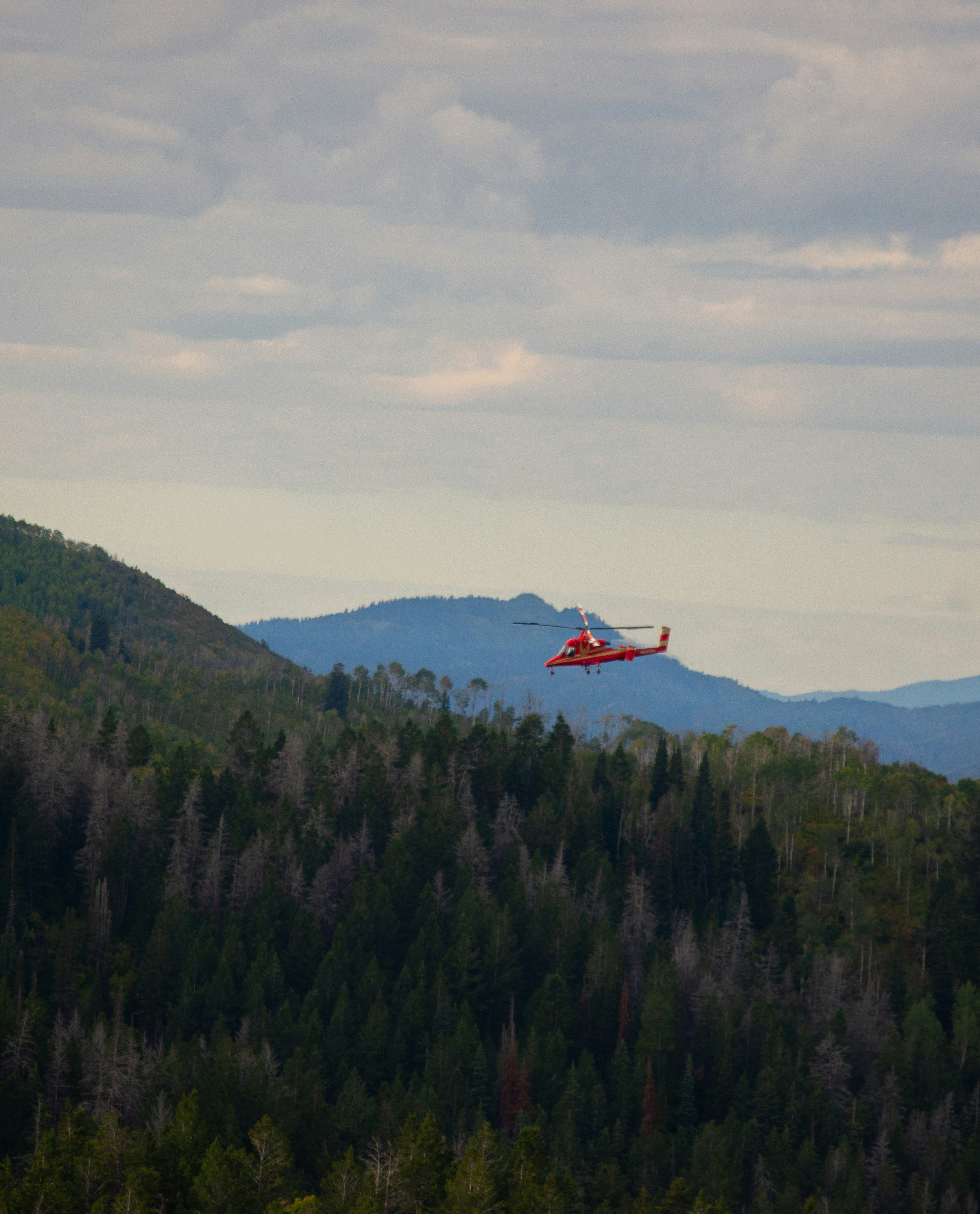 A red helicopter flying over a lush green forest photo – Free Utah ...