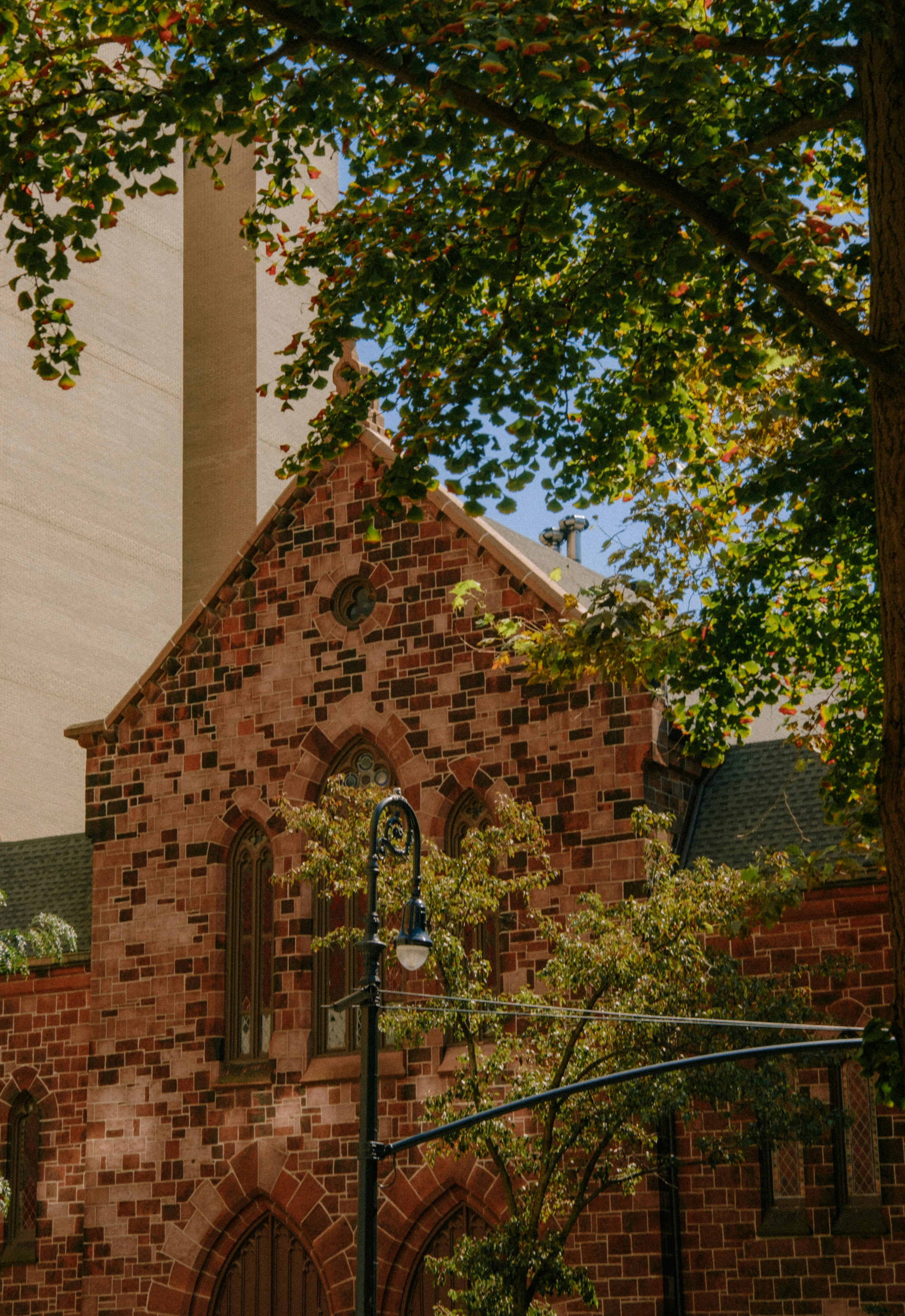 Historic red brick building partially obscured by lush green foliage, juxtaposed against a modern structure in the background.