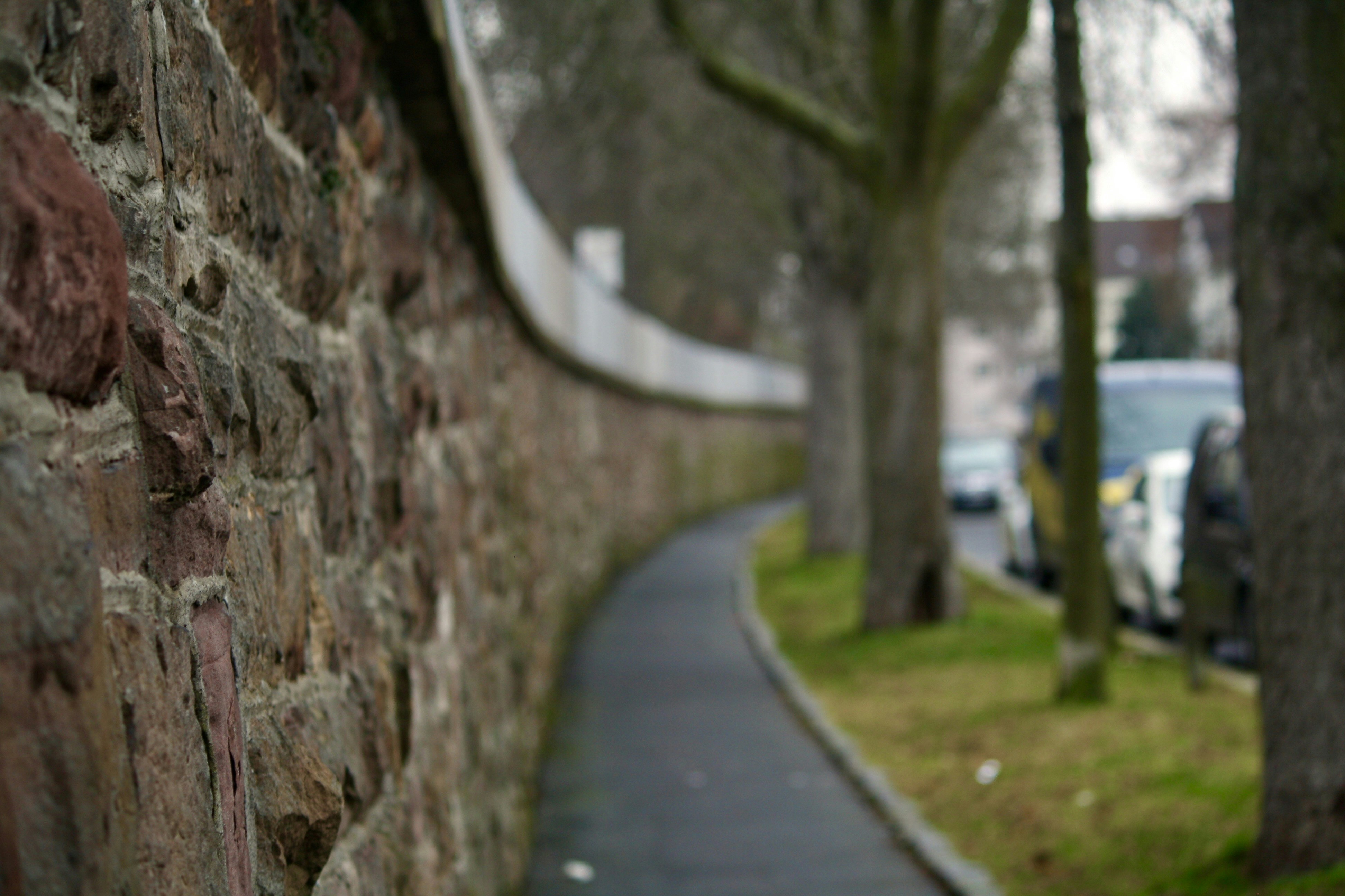 Curved Quiet: A Brick-Walled Path Vanishes Into Blur