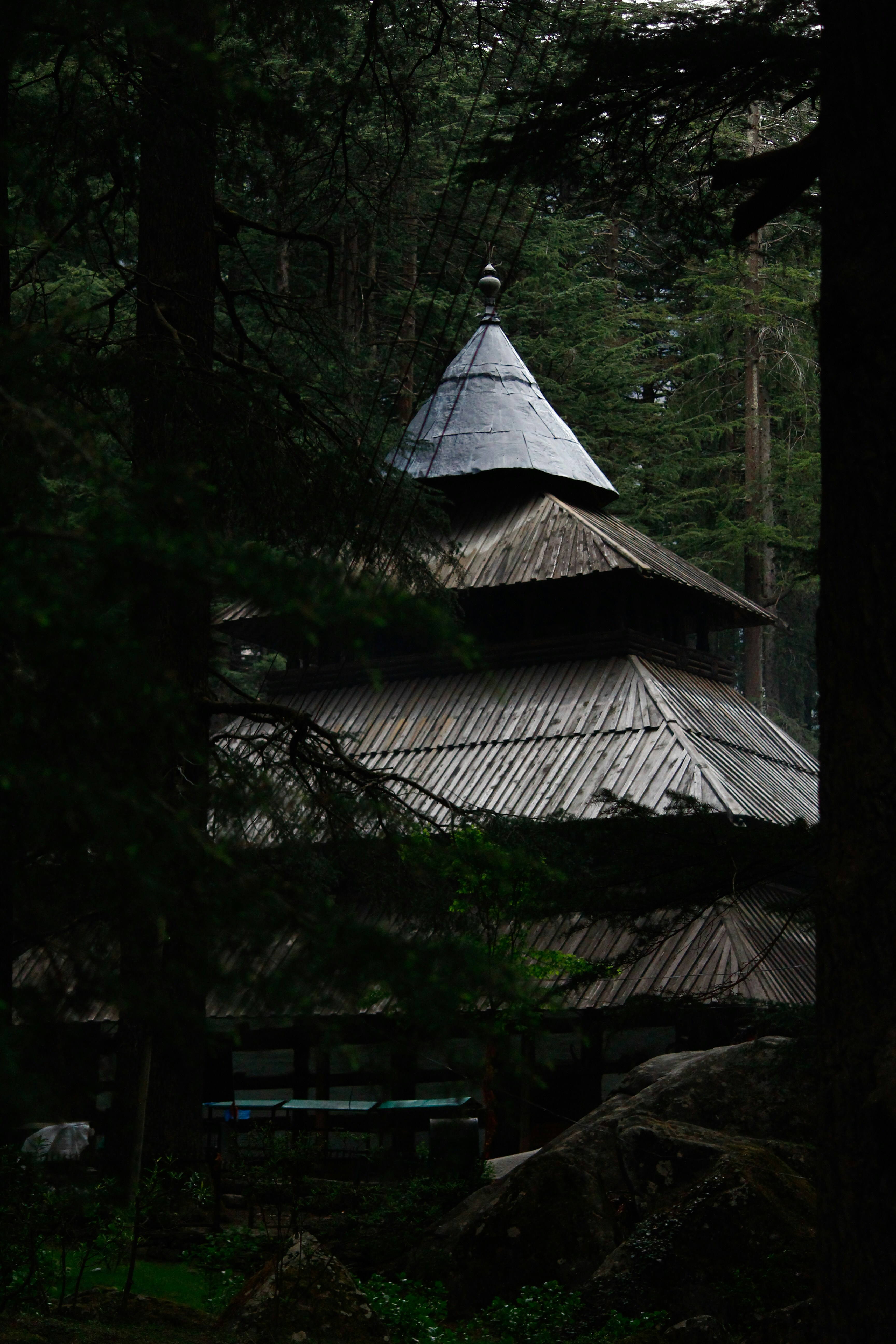 Photo by Ankit Pai N with Canon EOS 1200D