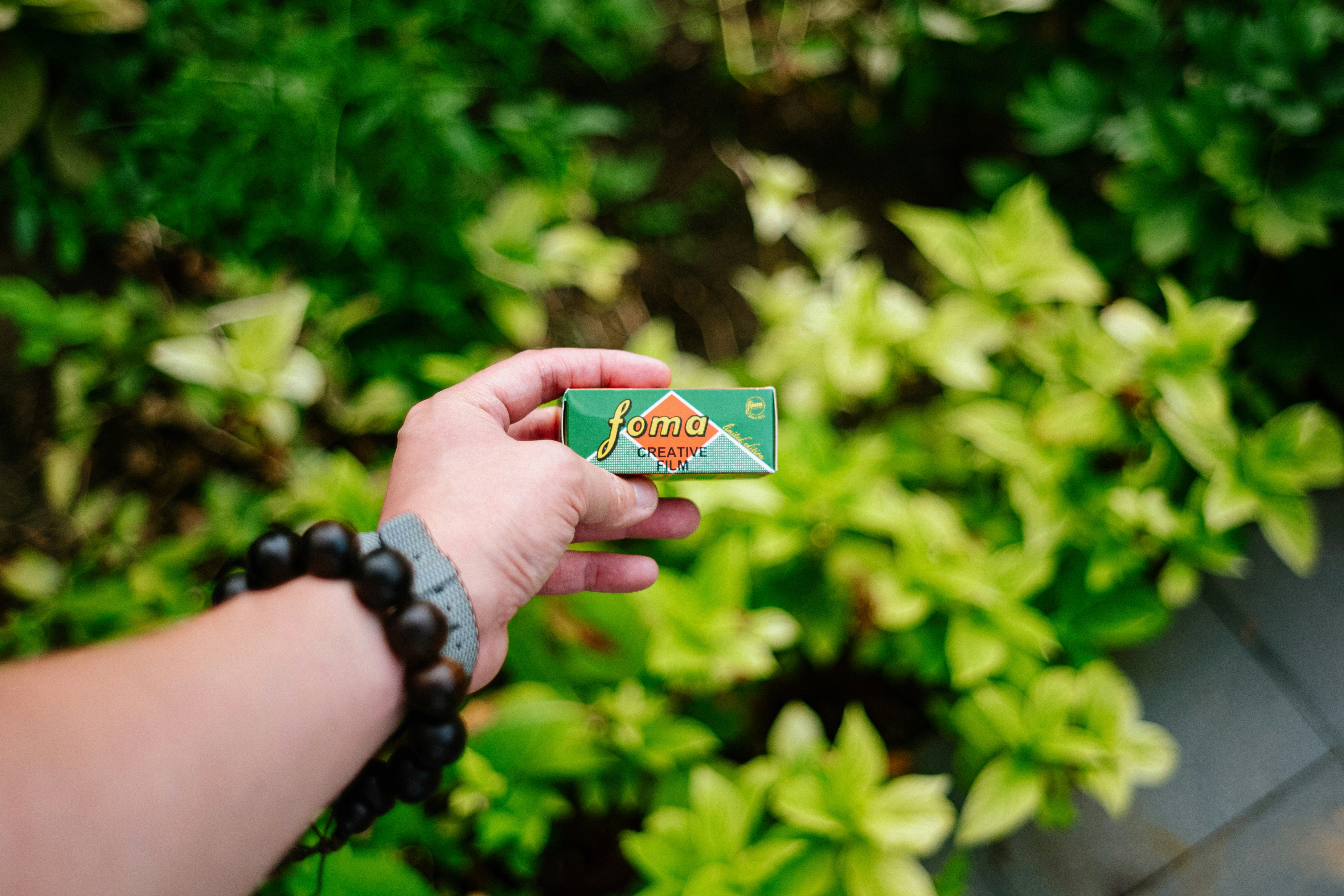 Handful of Color: A Teal Card Between Green Leaves