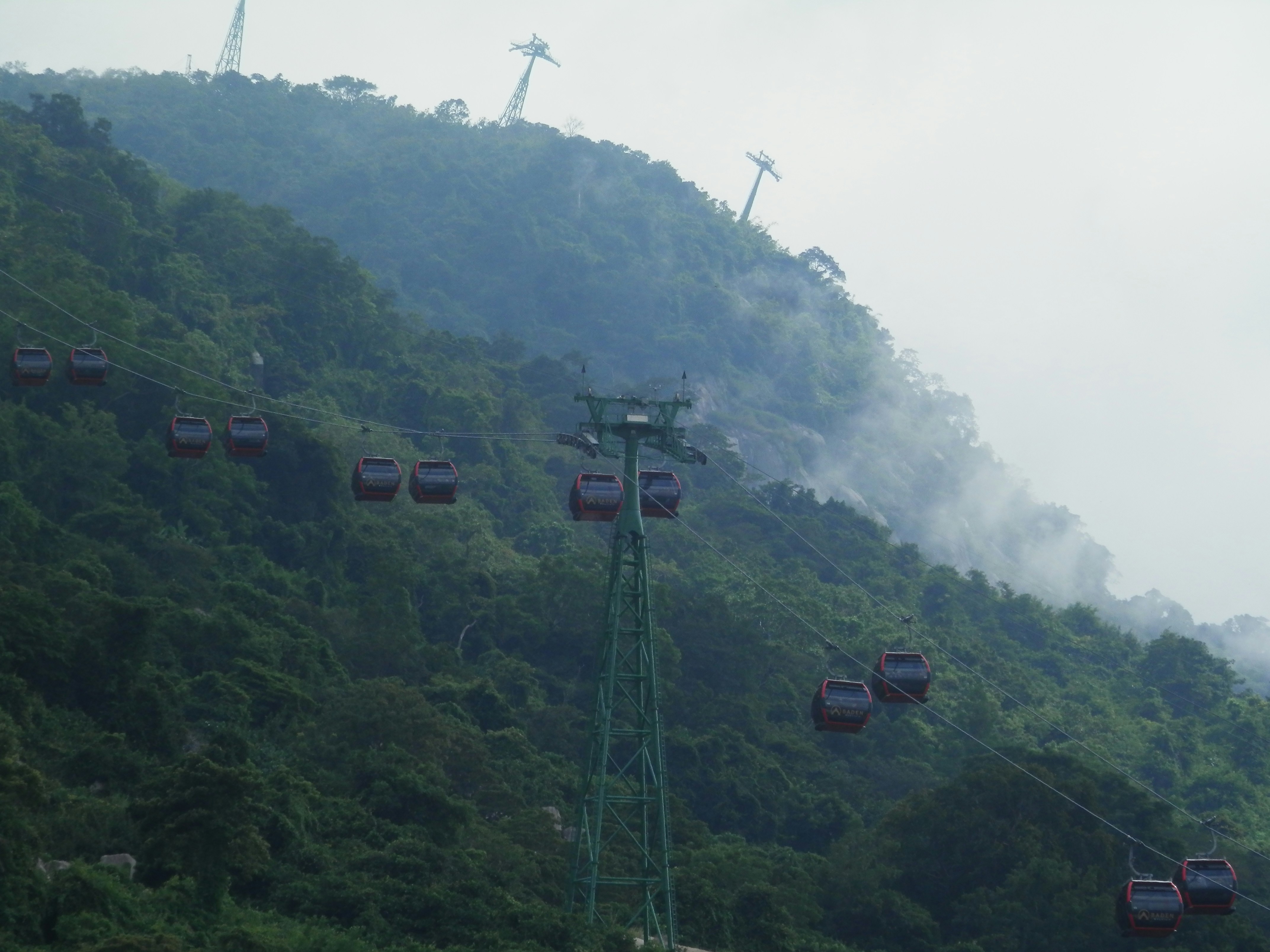 Cable cars traverse a lush, fog-covered mountainside.