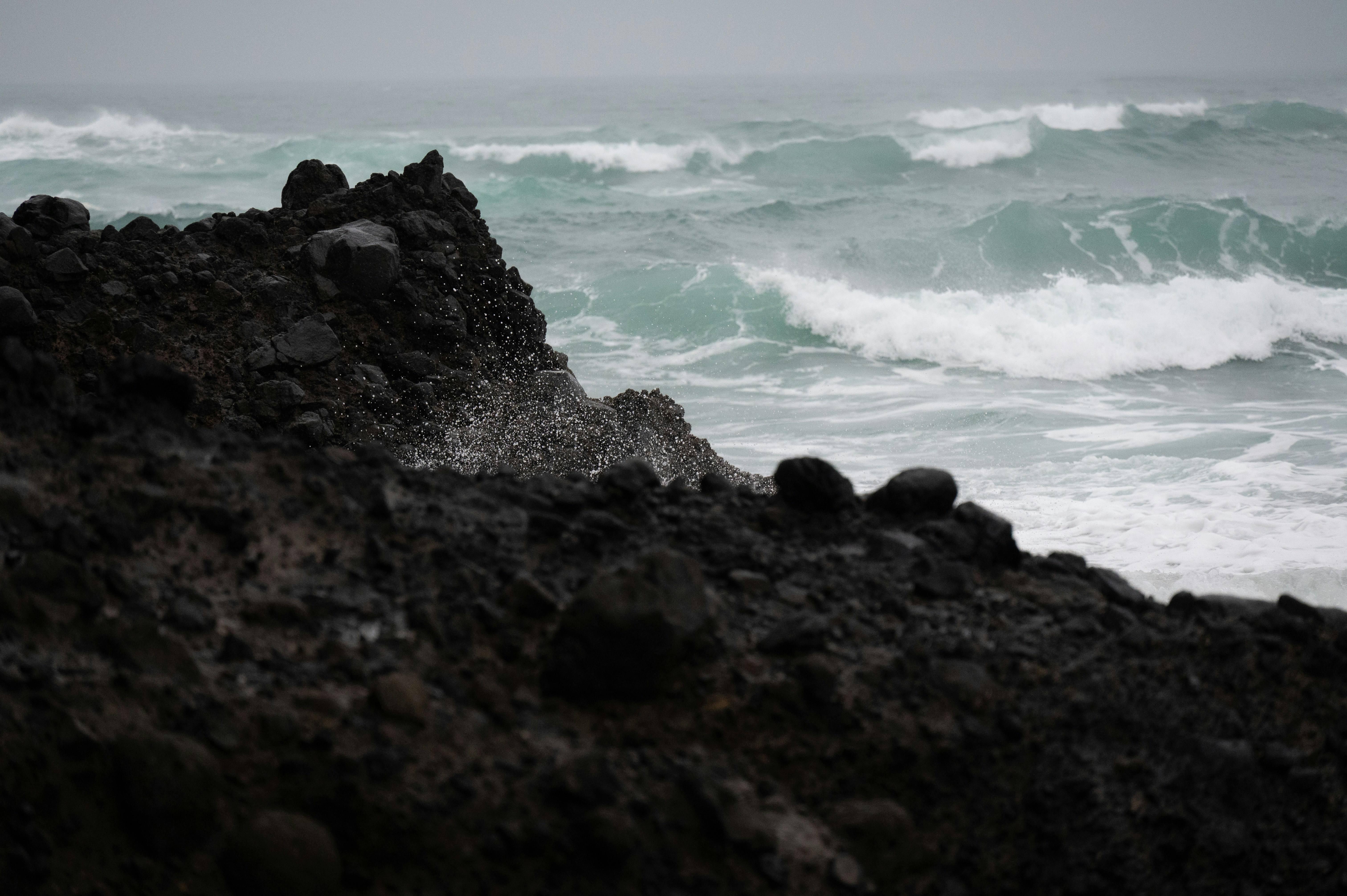 Crystal clear water crashing against rocks at Piha beach | a bird sitting on top of a rock near the ocean