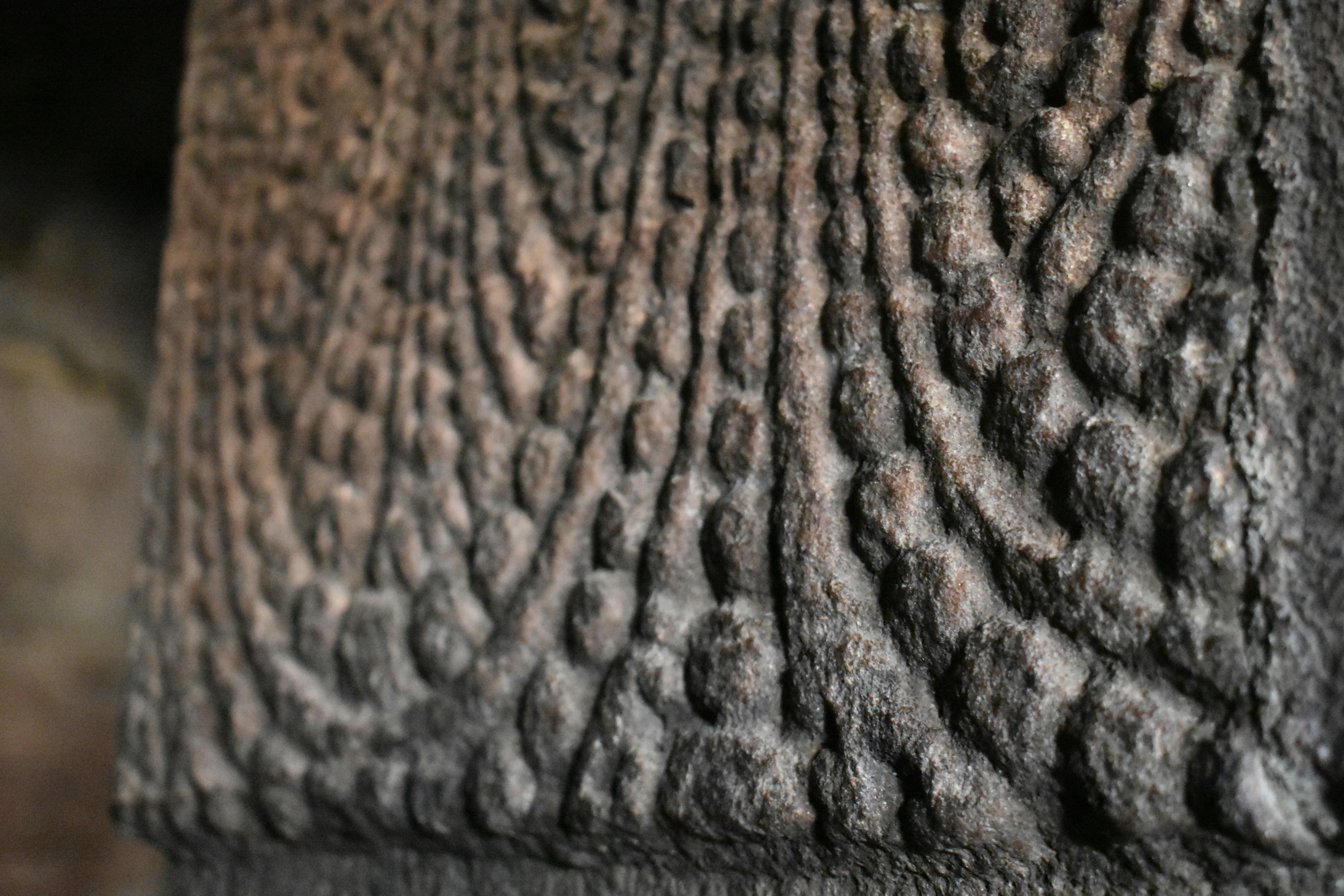 Photo by Rahul Moundekar with Nikon D3400