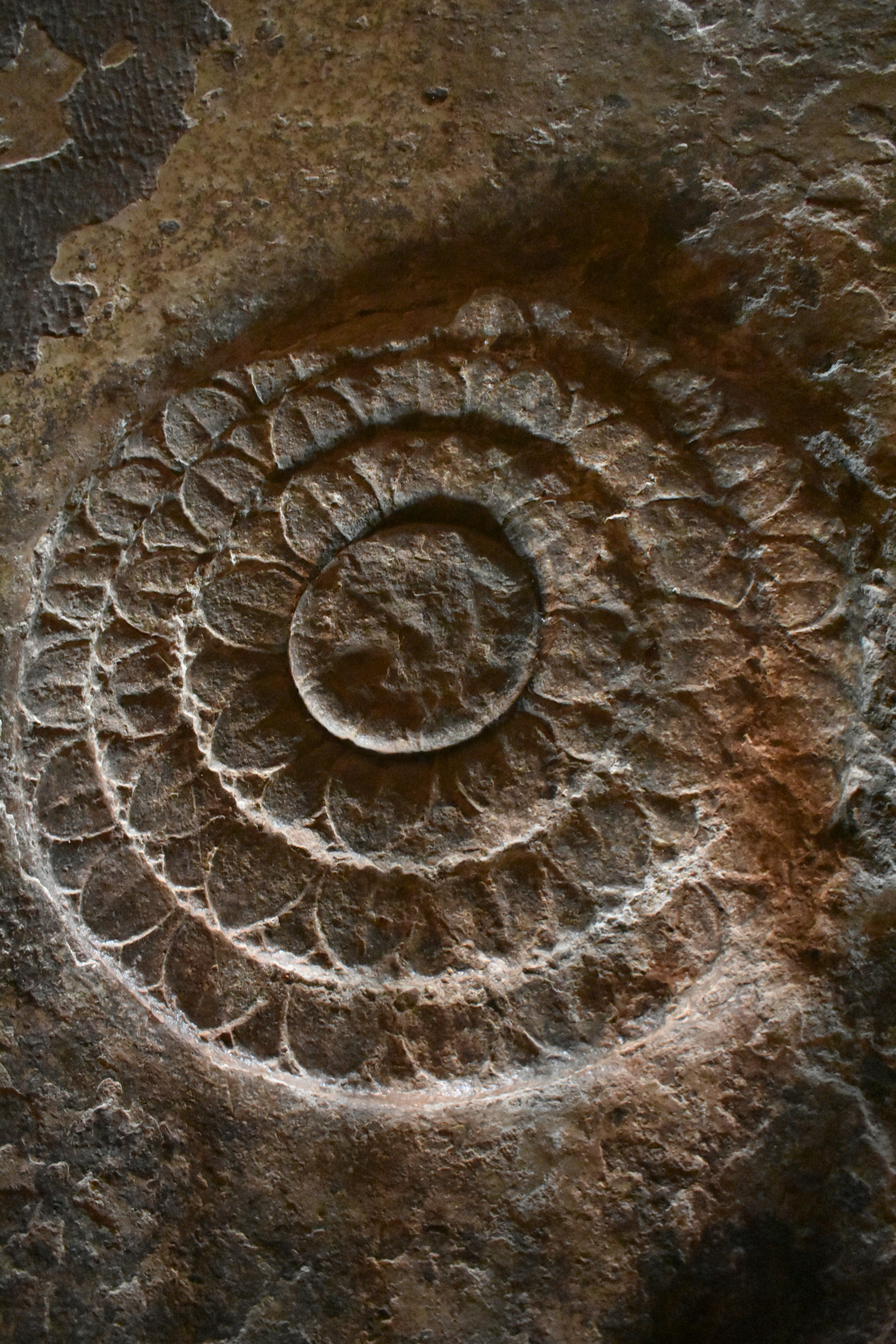 Photo by Rahul Moundekar with Nikon D3400