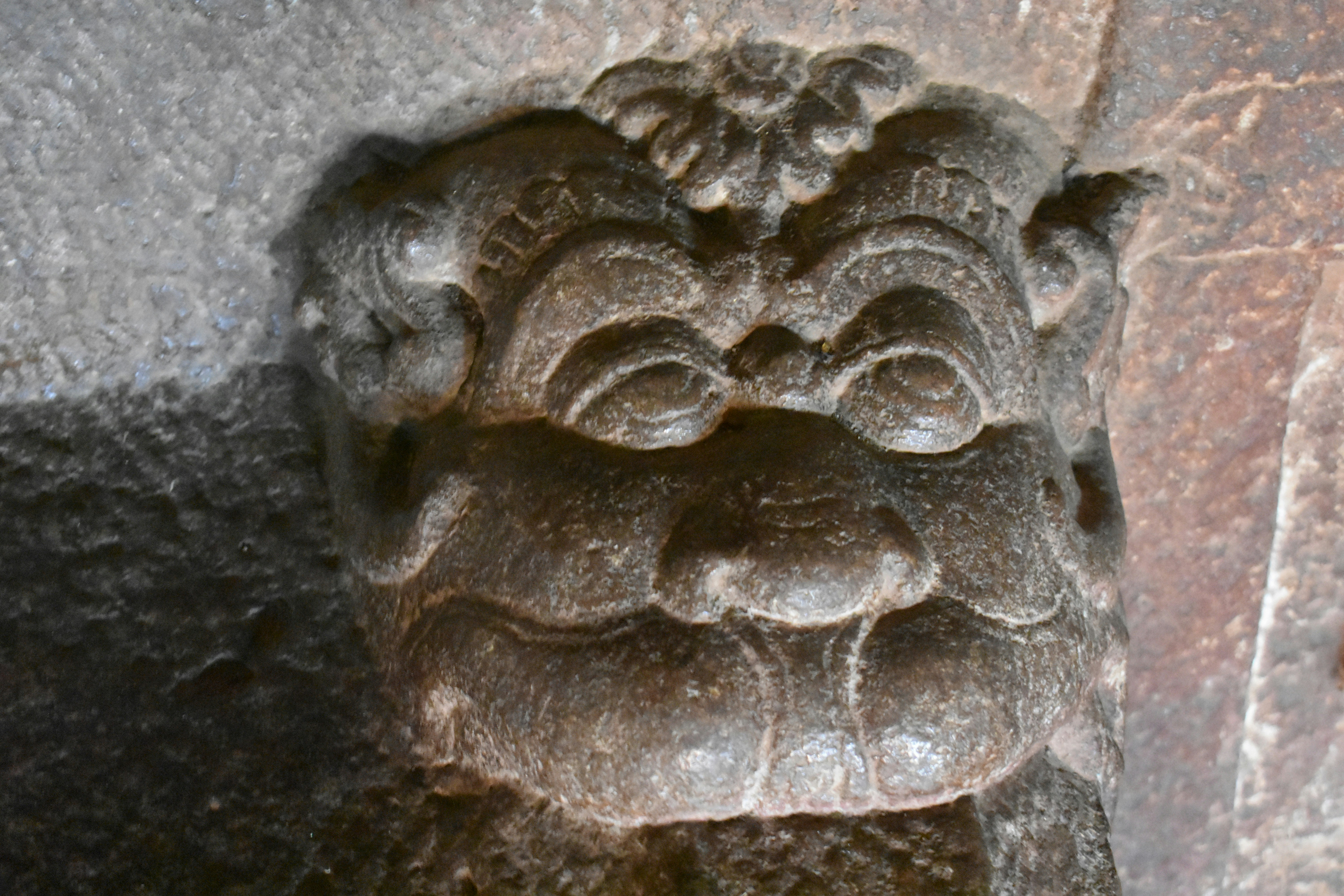 Photo by Rahul Moundekar with Nikon D3400