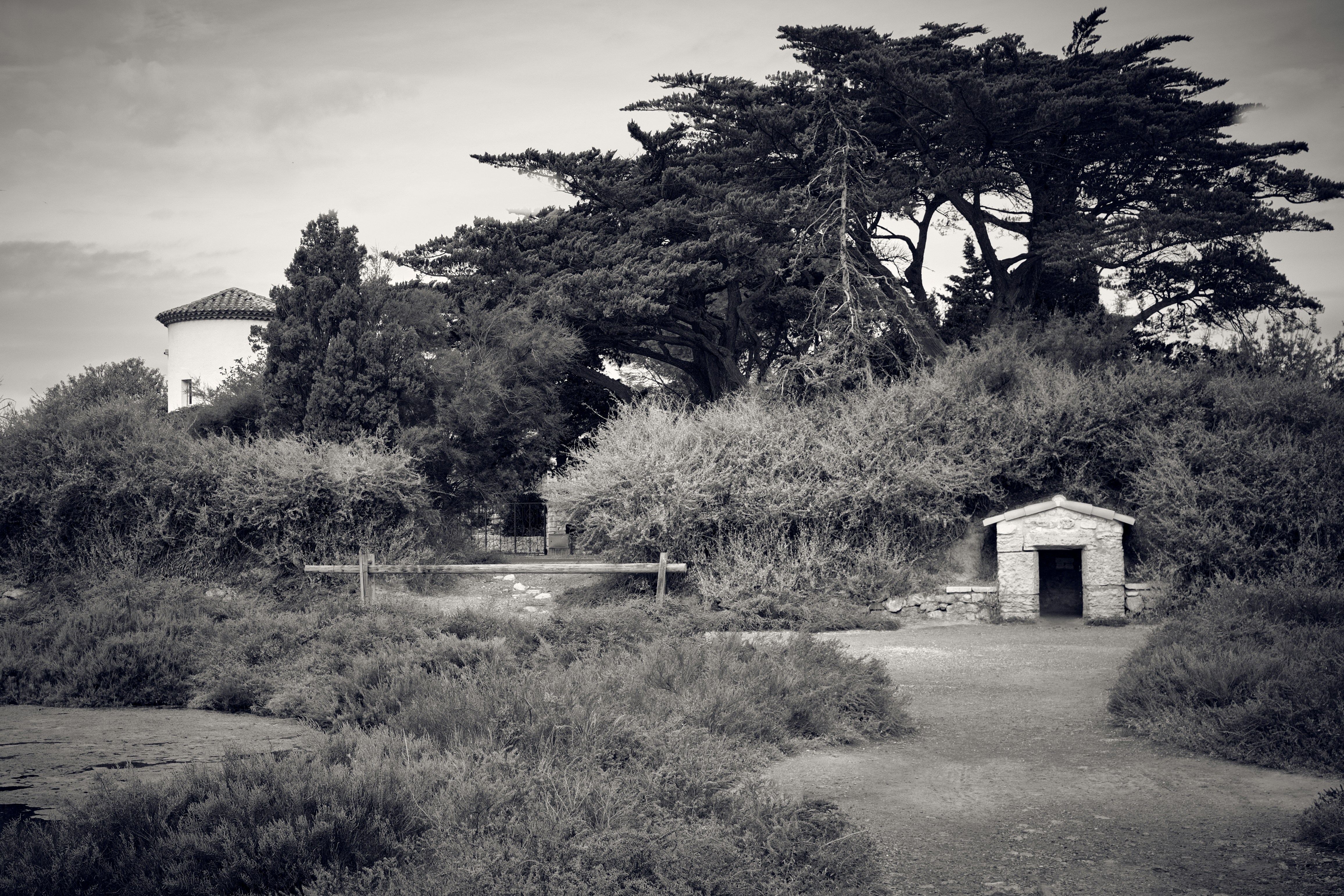 Silent Elegance on the Hilltop