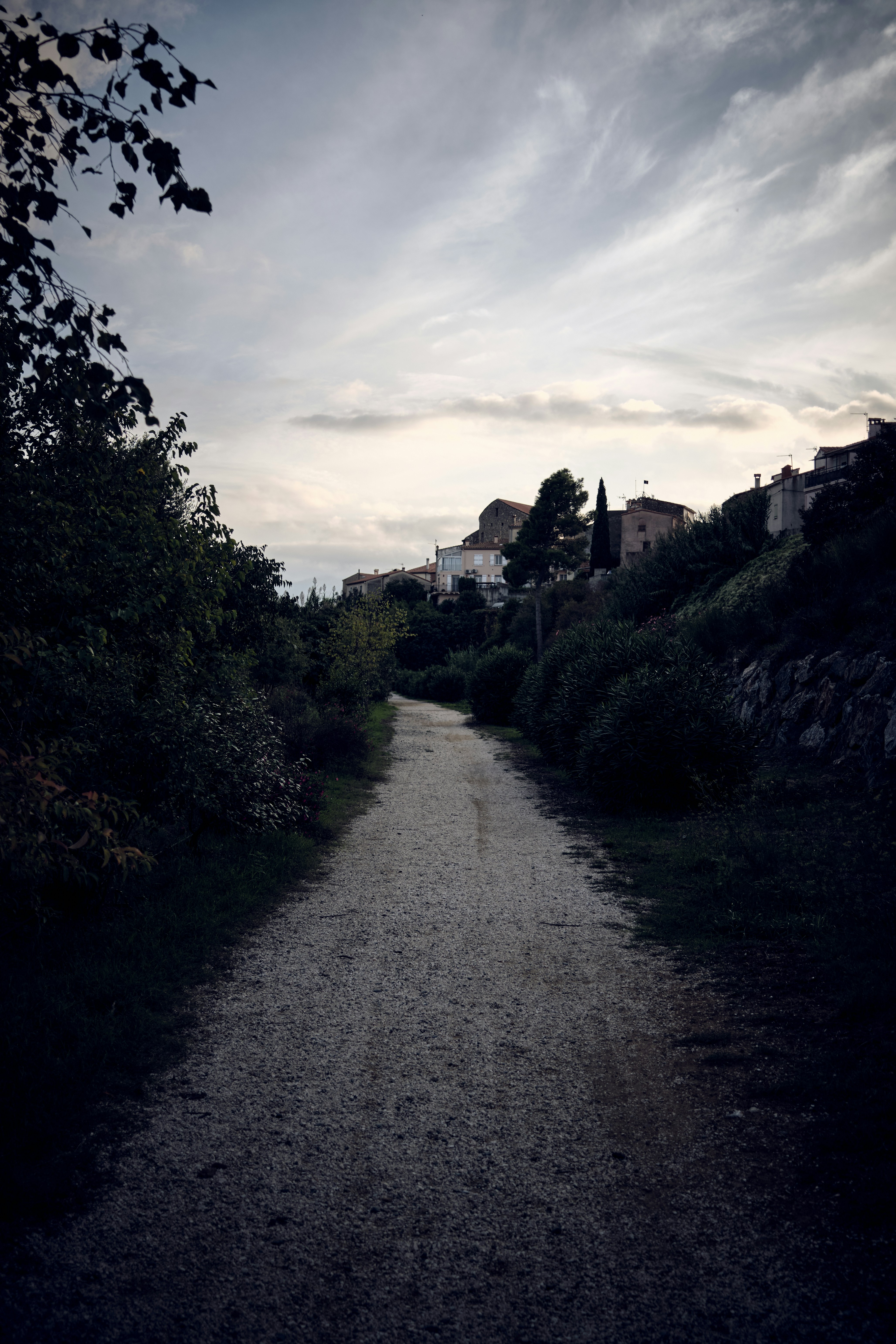 Photo by Jens Freudenau with Fujifilm X100V