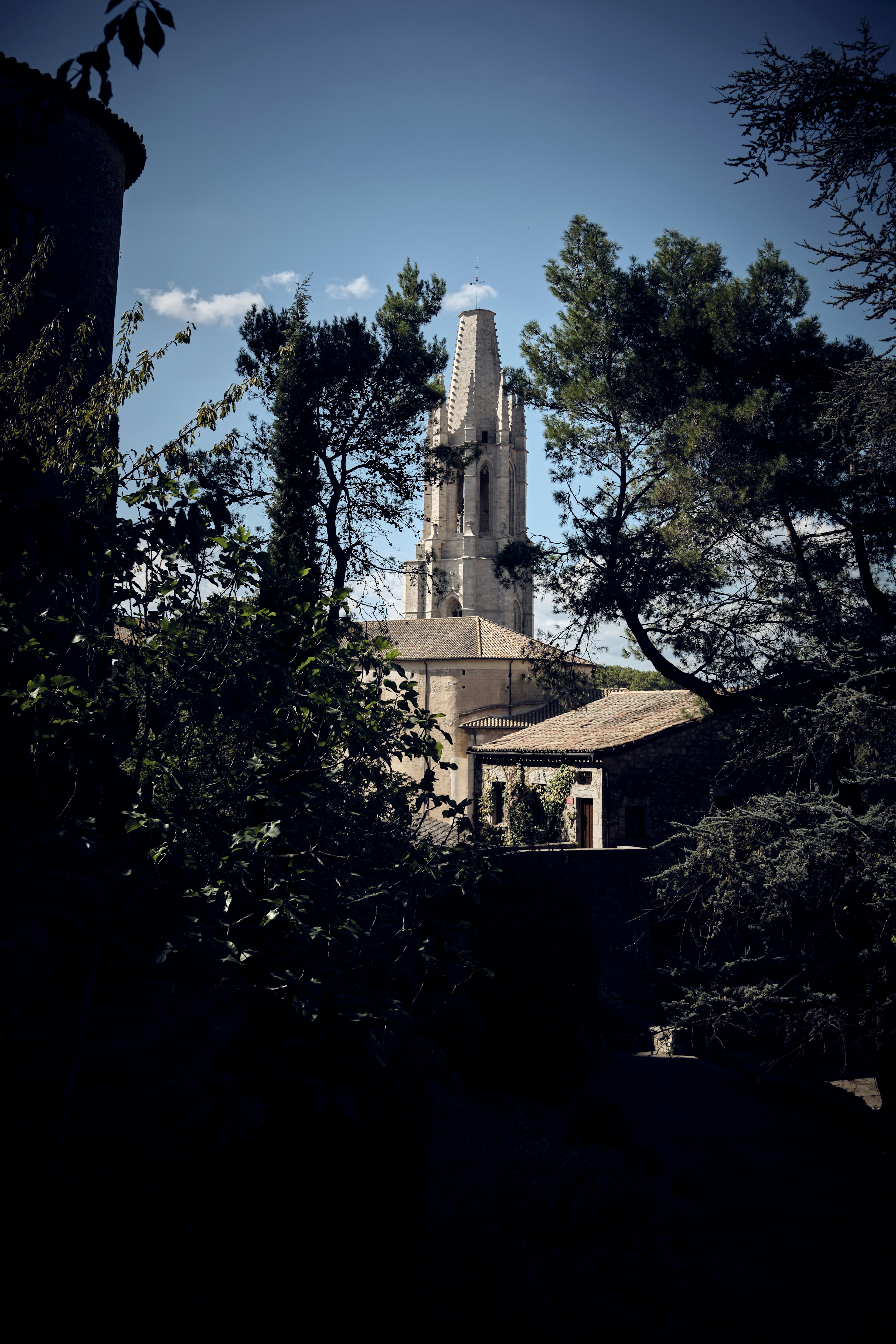 Bell Tower Through a Framed Canopy