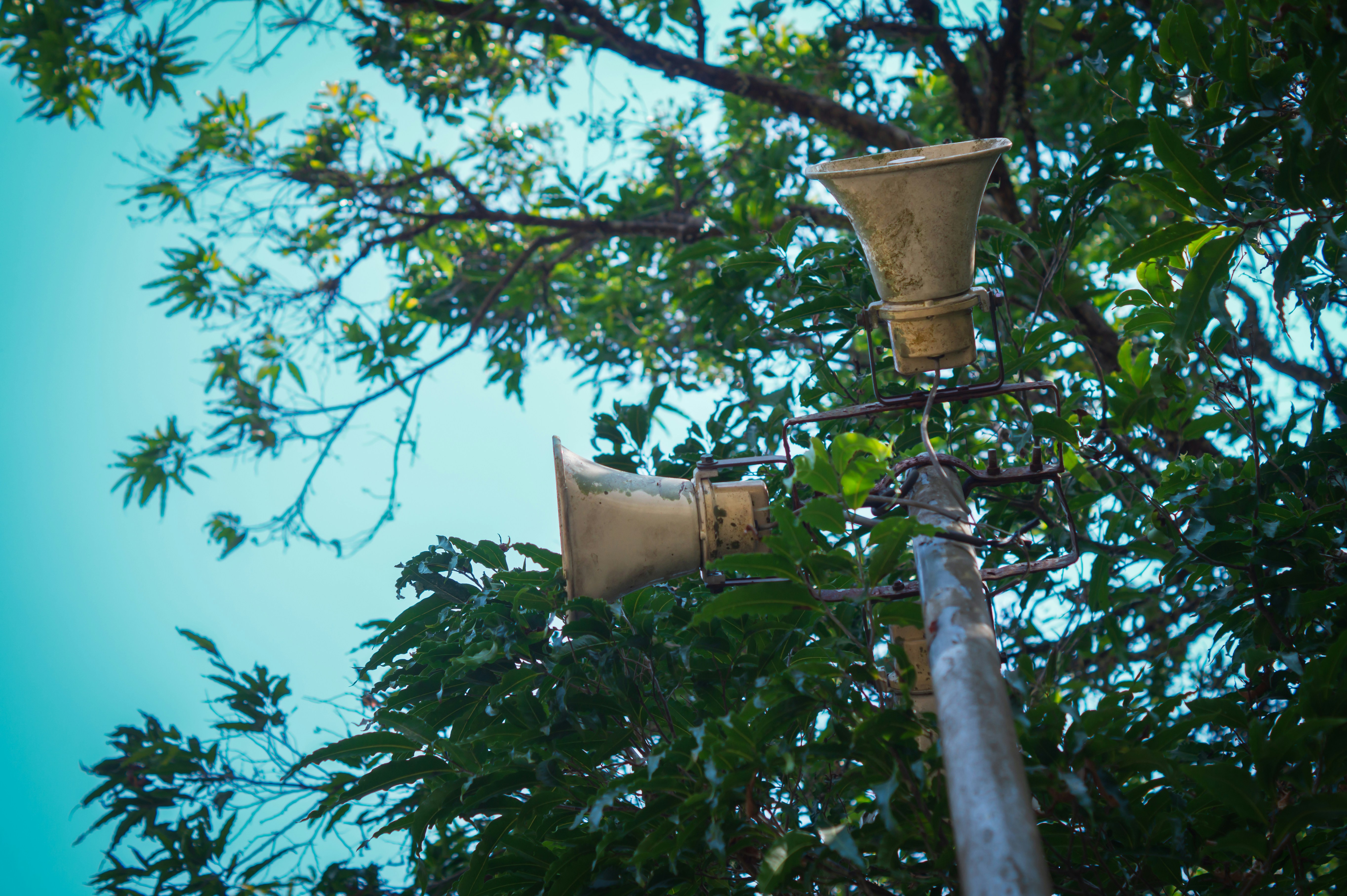 Weathered Megaphones Against a Teal Sky