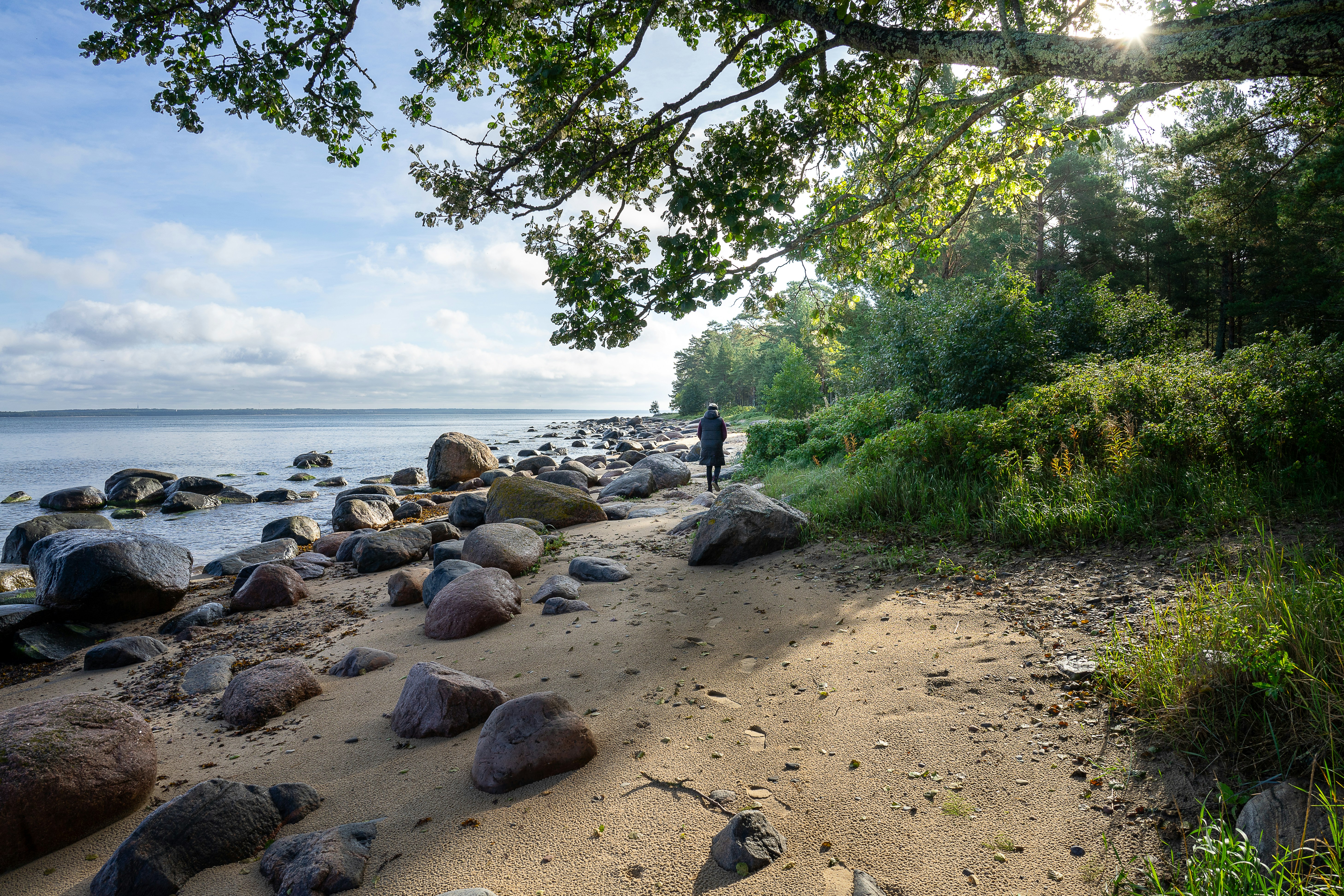 Lone Walker on a Pebble Beach Beneath a Dappled Canopy