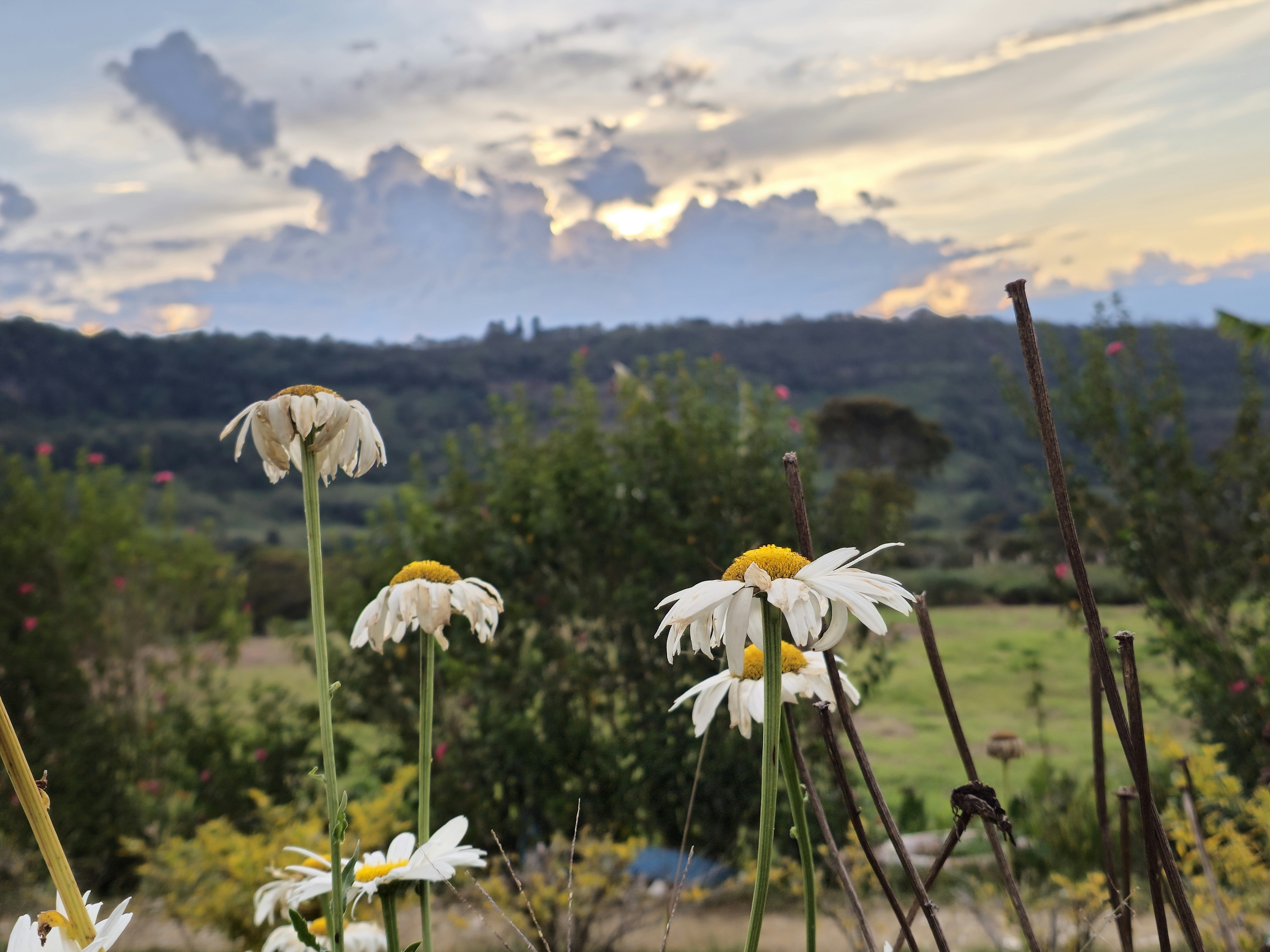 Gerson Crespo (@yersoncrespo) | Unsplash Photo Community