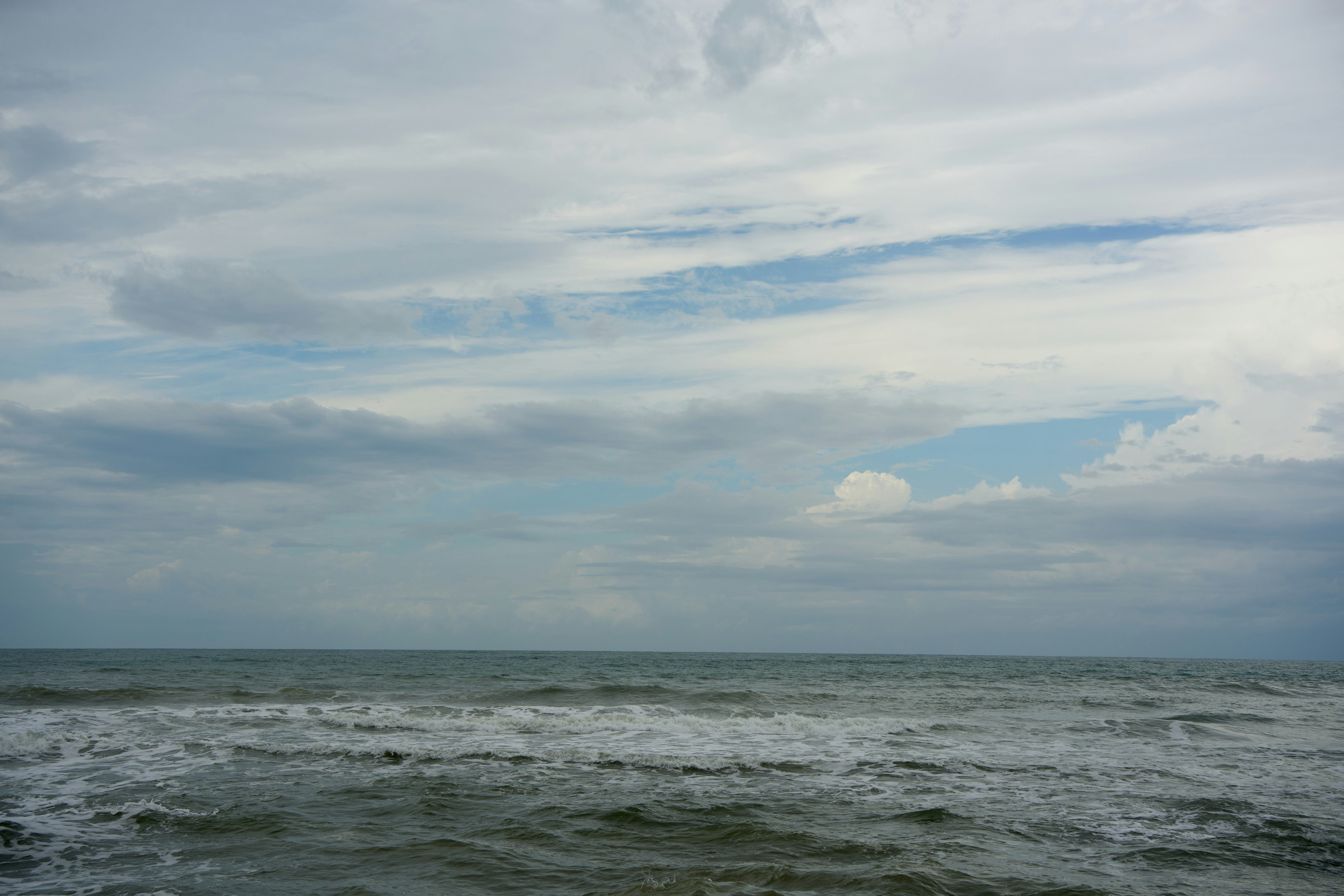 Photo by Wolfgang Hasselmann with Sony Alpha 7 IV