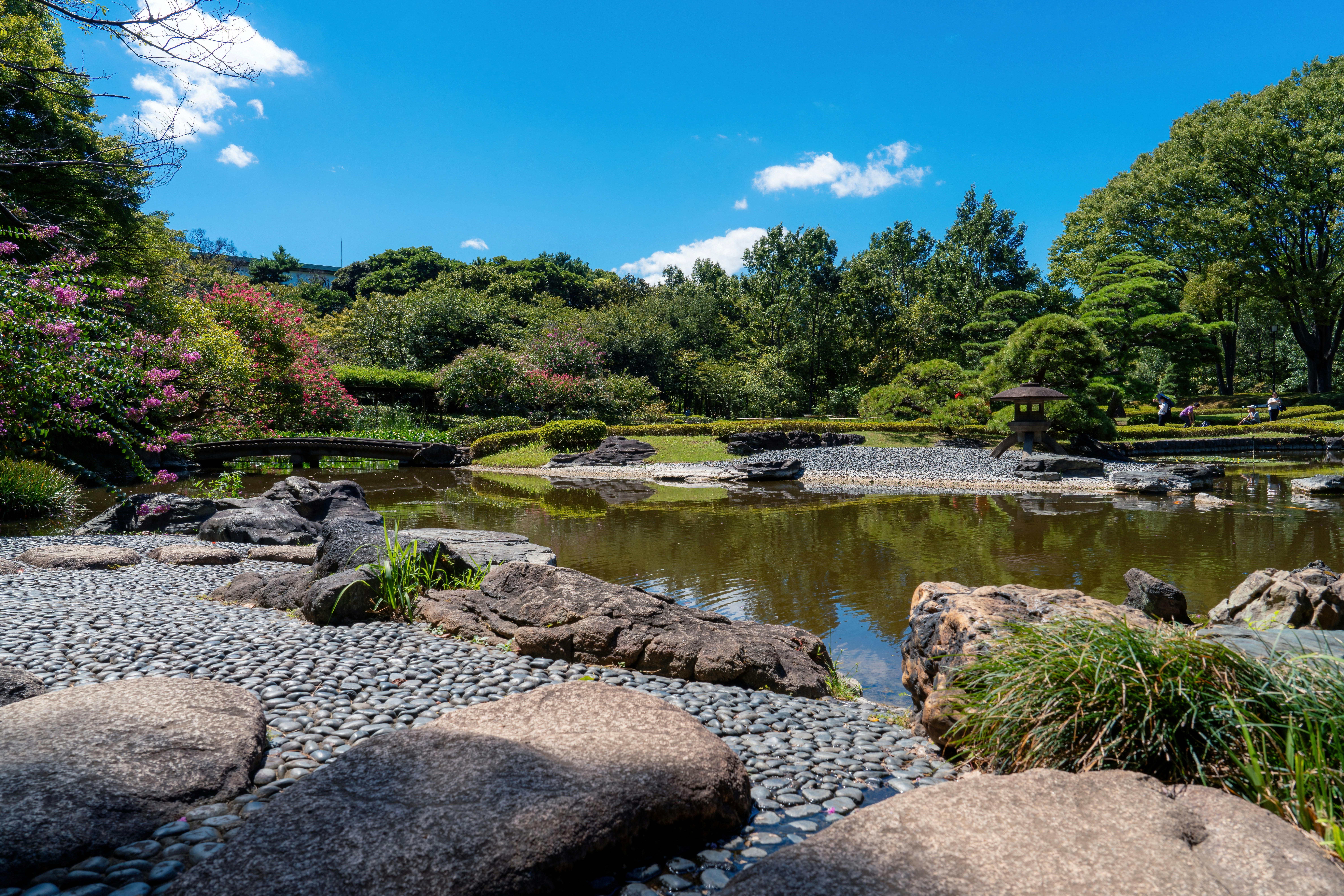 A small pond surrounded by rocks and trees photo – Free Chiyoda city ...