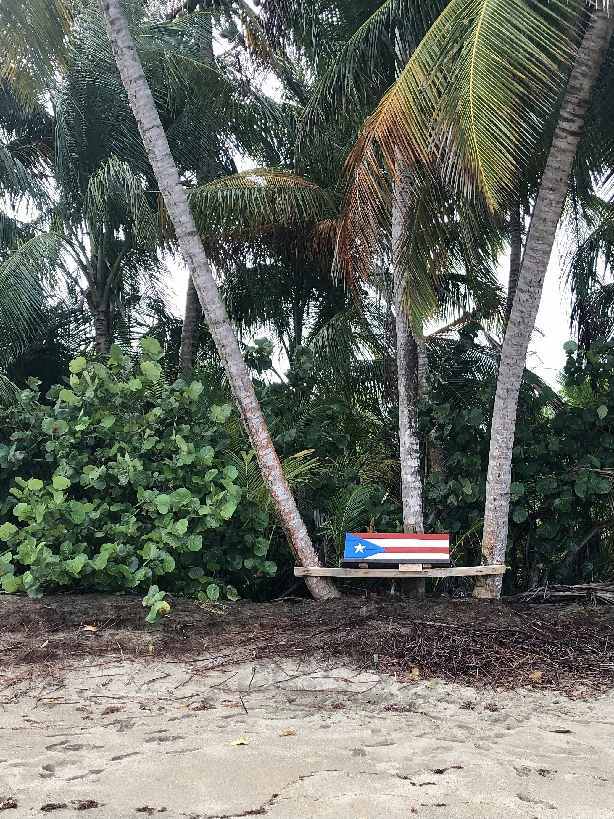 Flag Between Palms: Puerto Rico on a Quiet Caribbean Beach Bench