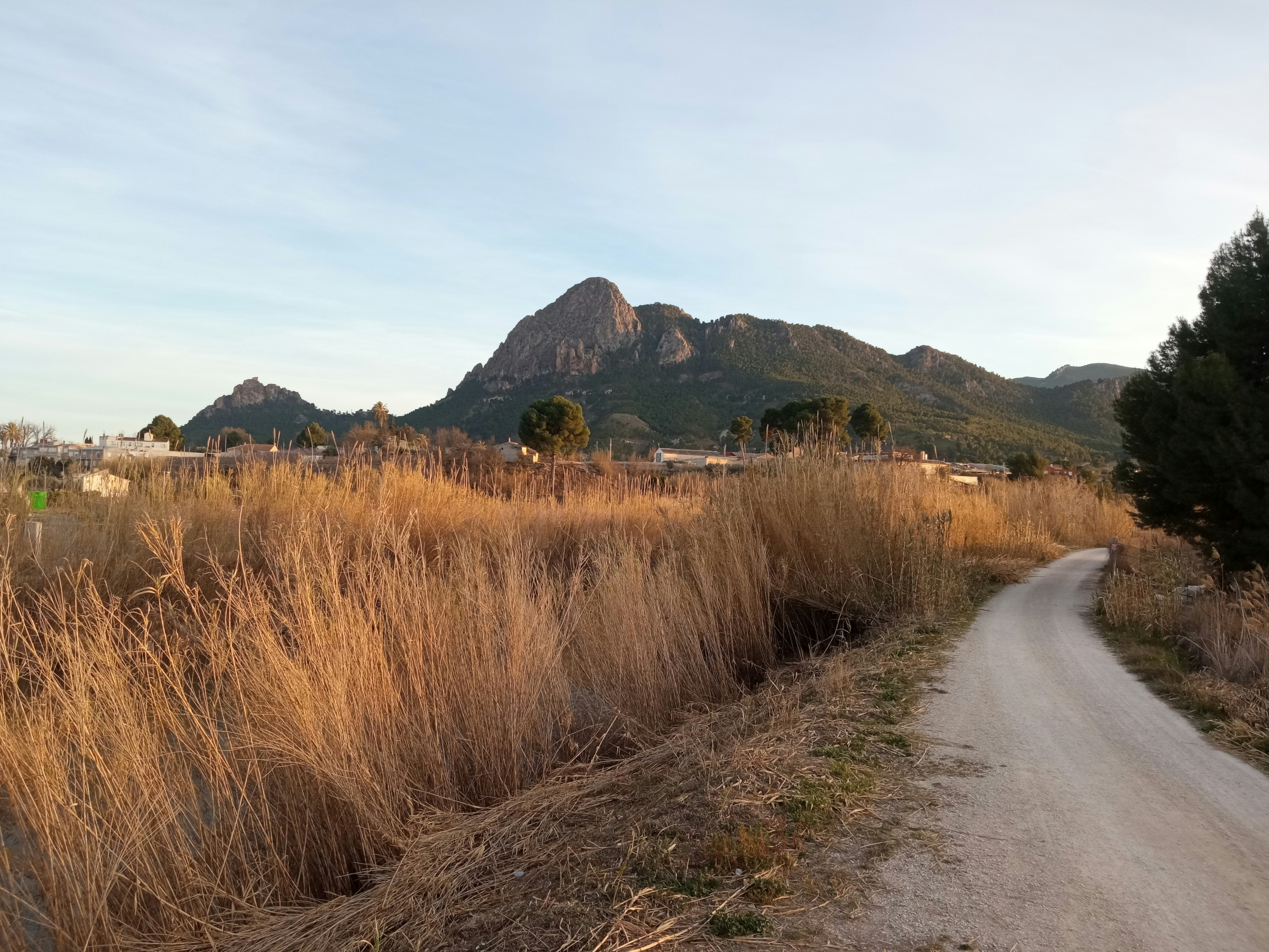 Rural path winding through dry reeds with distant mountains under a clear sky.