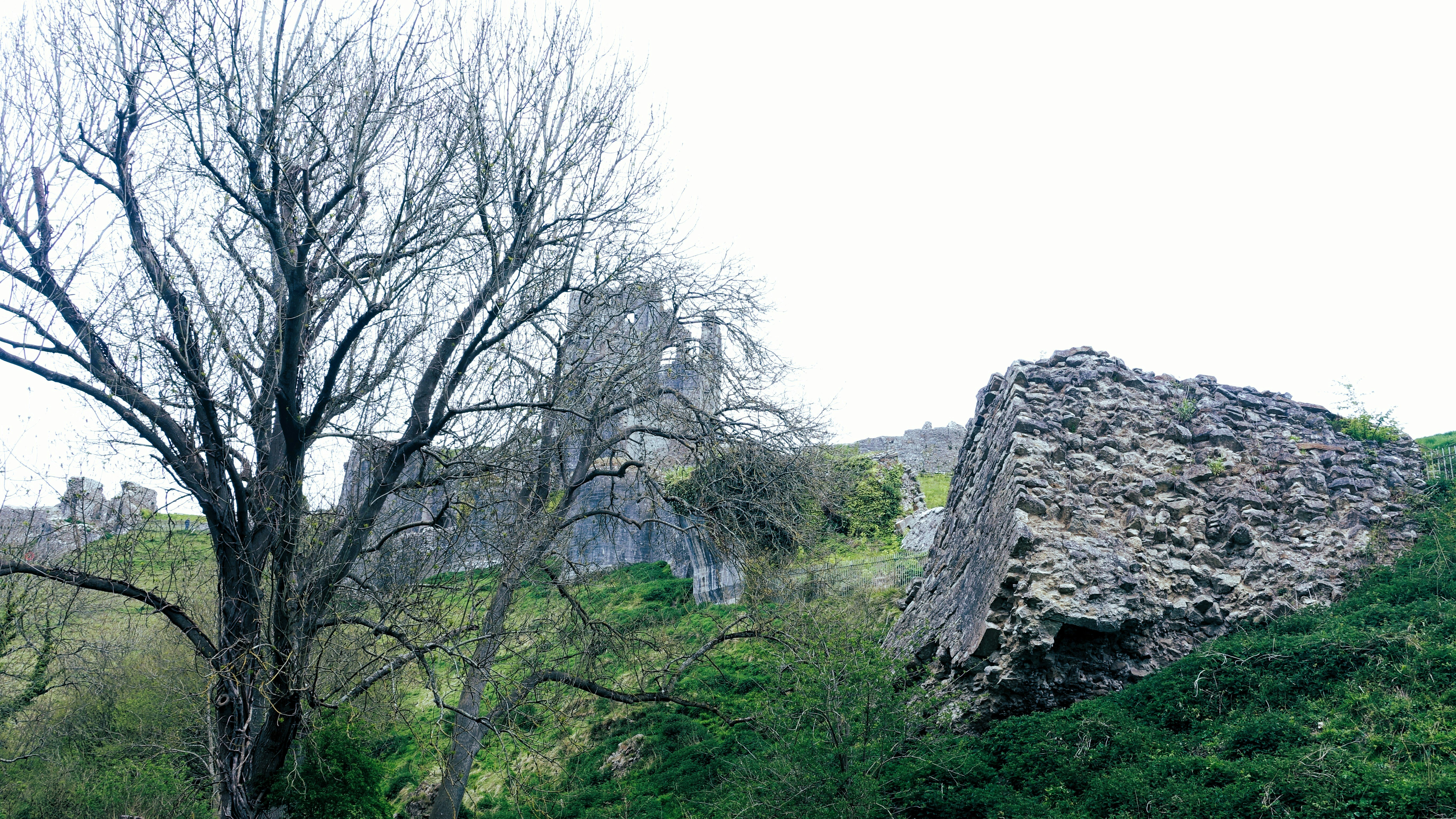 Photo by SC Chong with Sony RX100 III