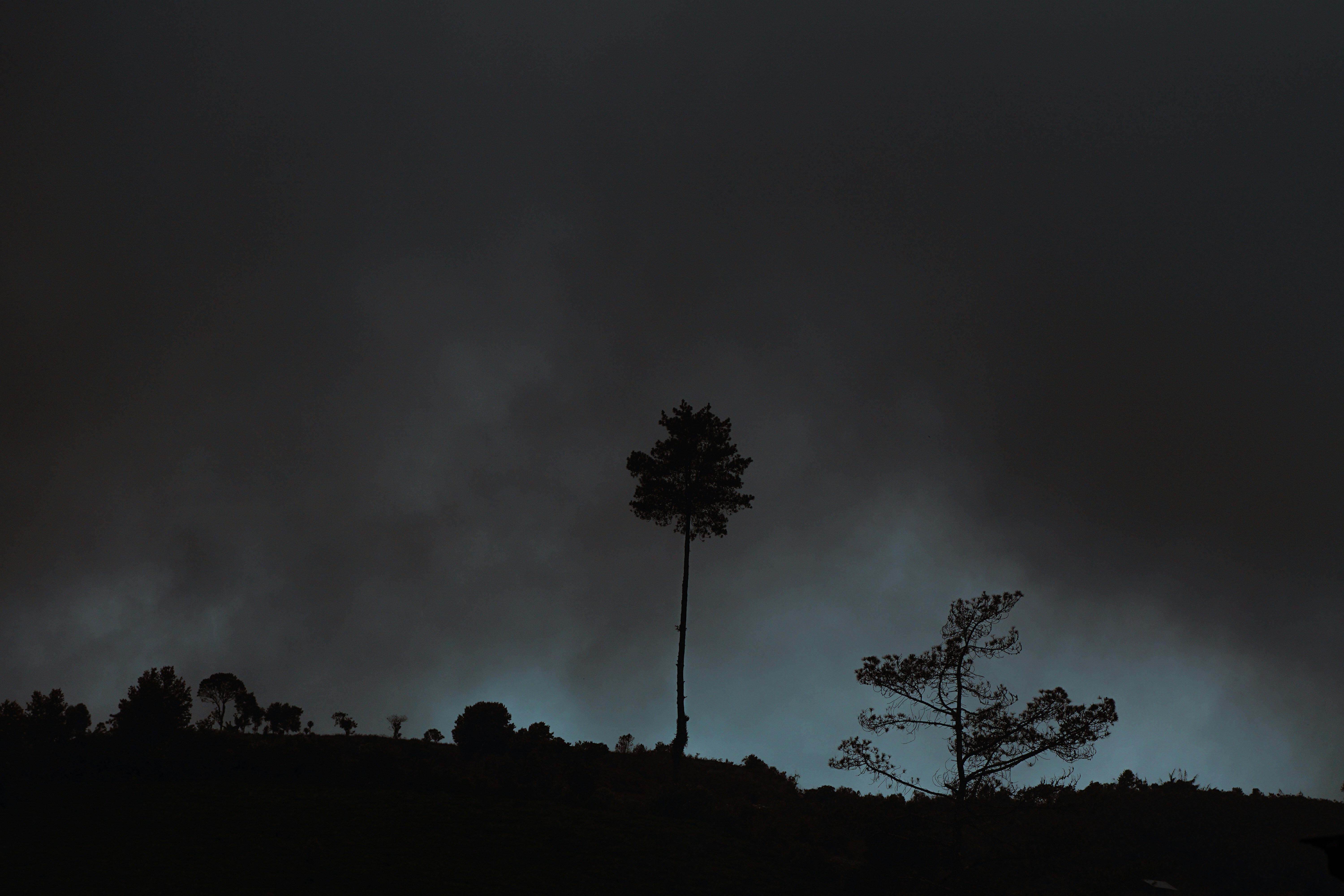 Silhouette of a solitary tree on a hill under a dark, cloud-covered sky at dusk.