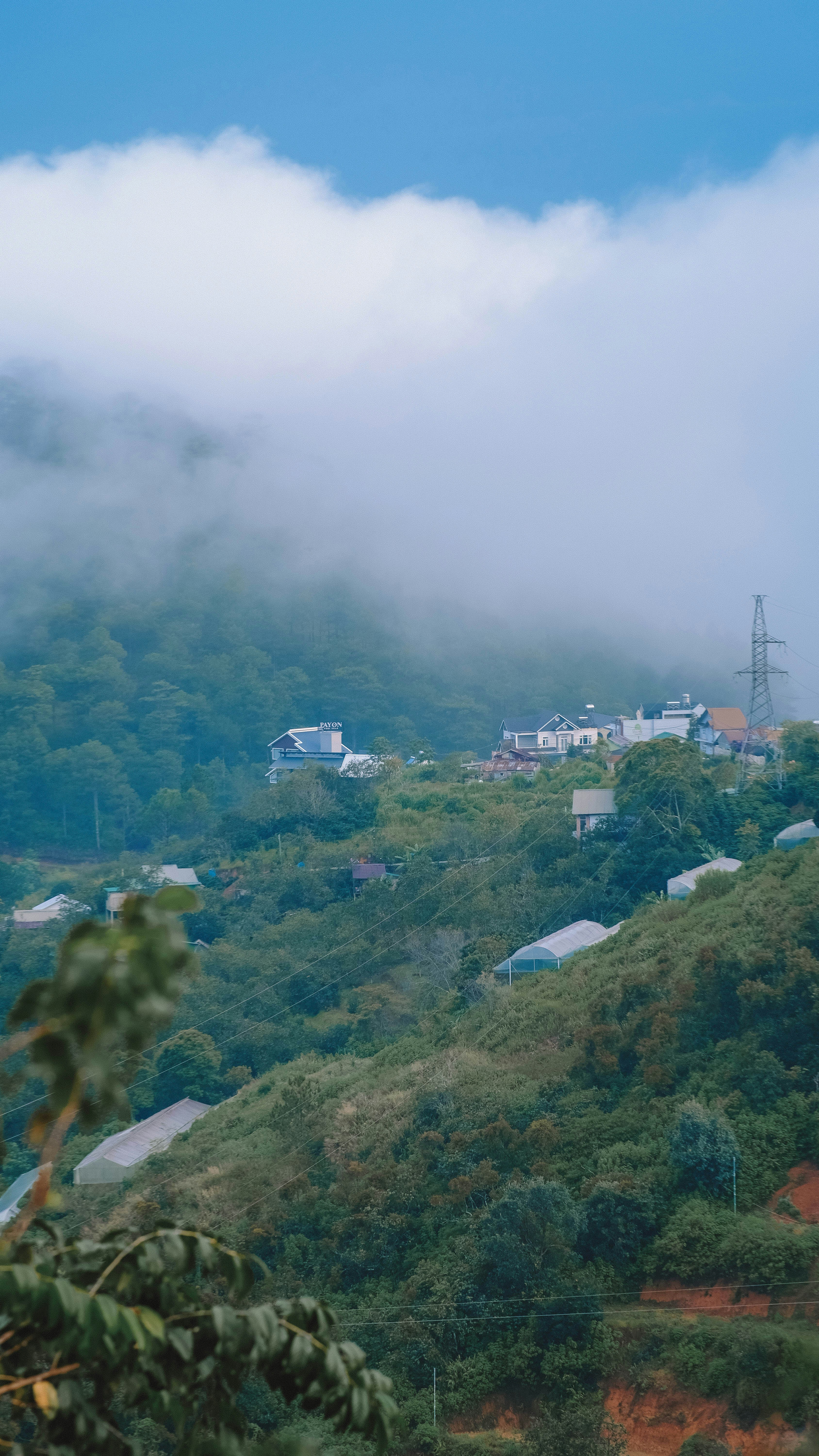 Misty Hillside RetreatANNIE HATUANH