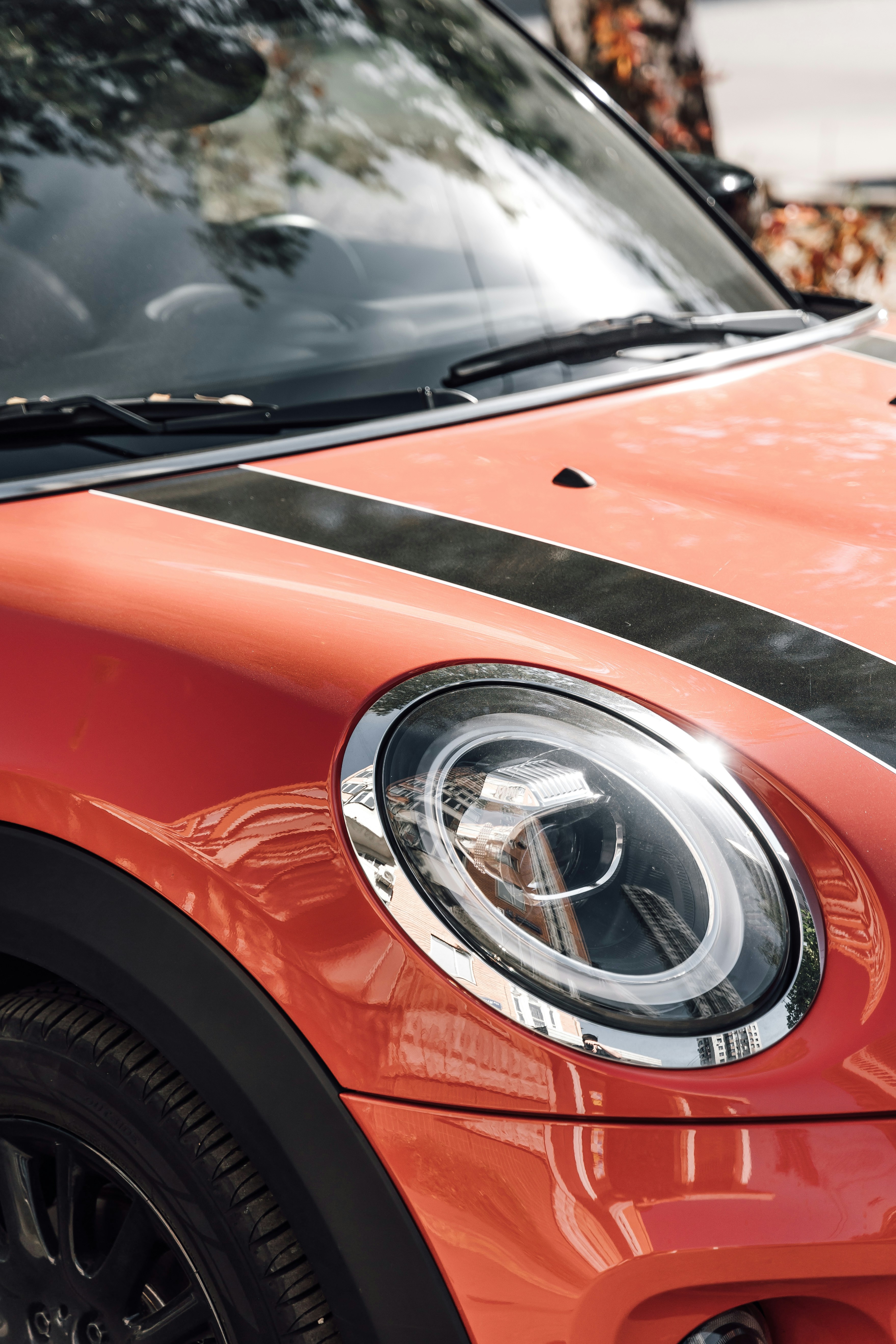 Photo by Vladislav Nikonov with Canon EOS R6