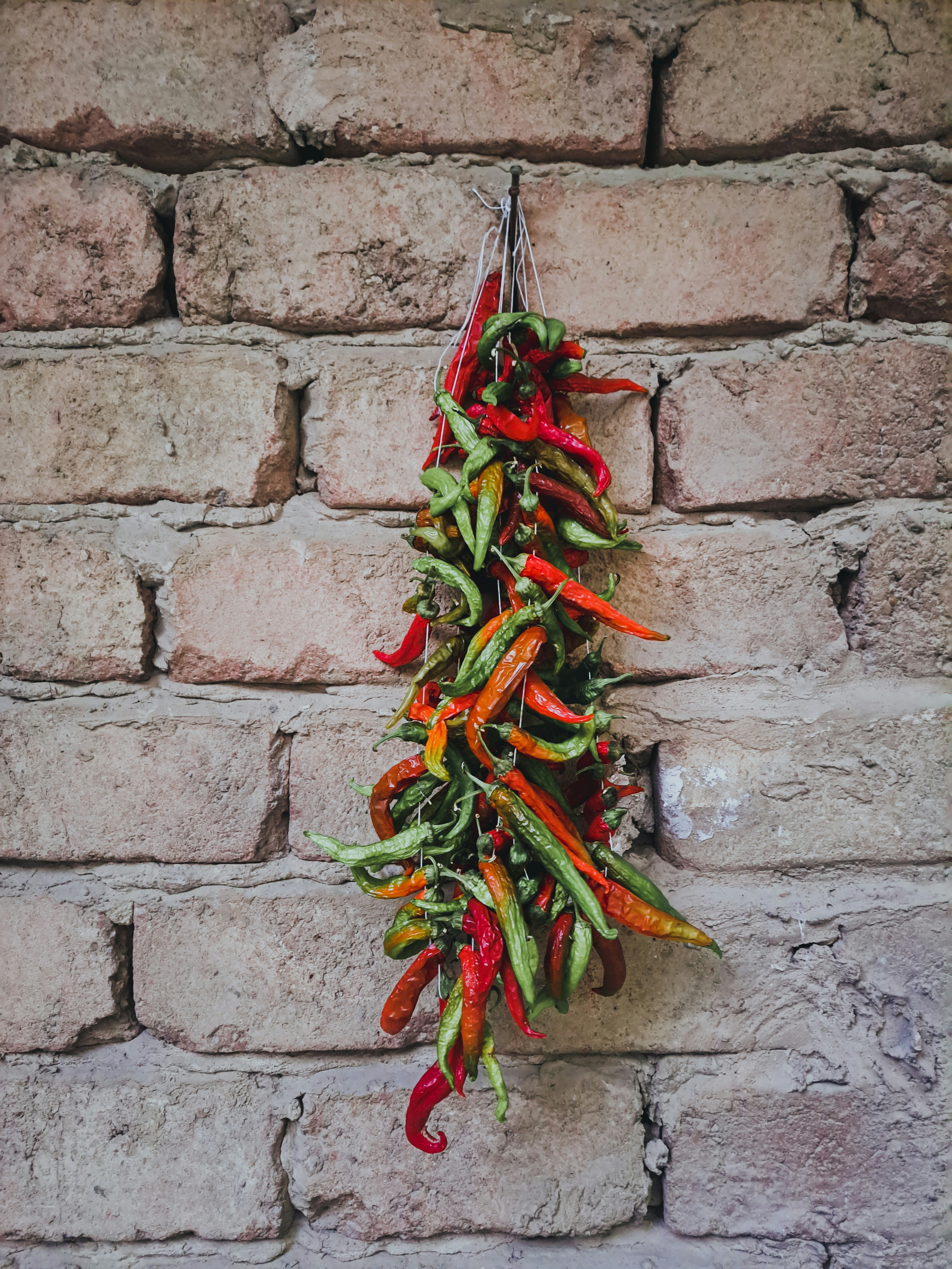 A string of red, green, and orange chili peppers hangs against a rough brick wall, creating a vivid, textural still life.
