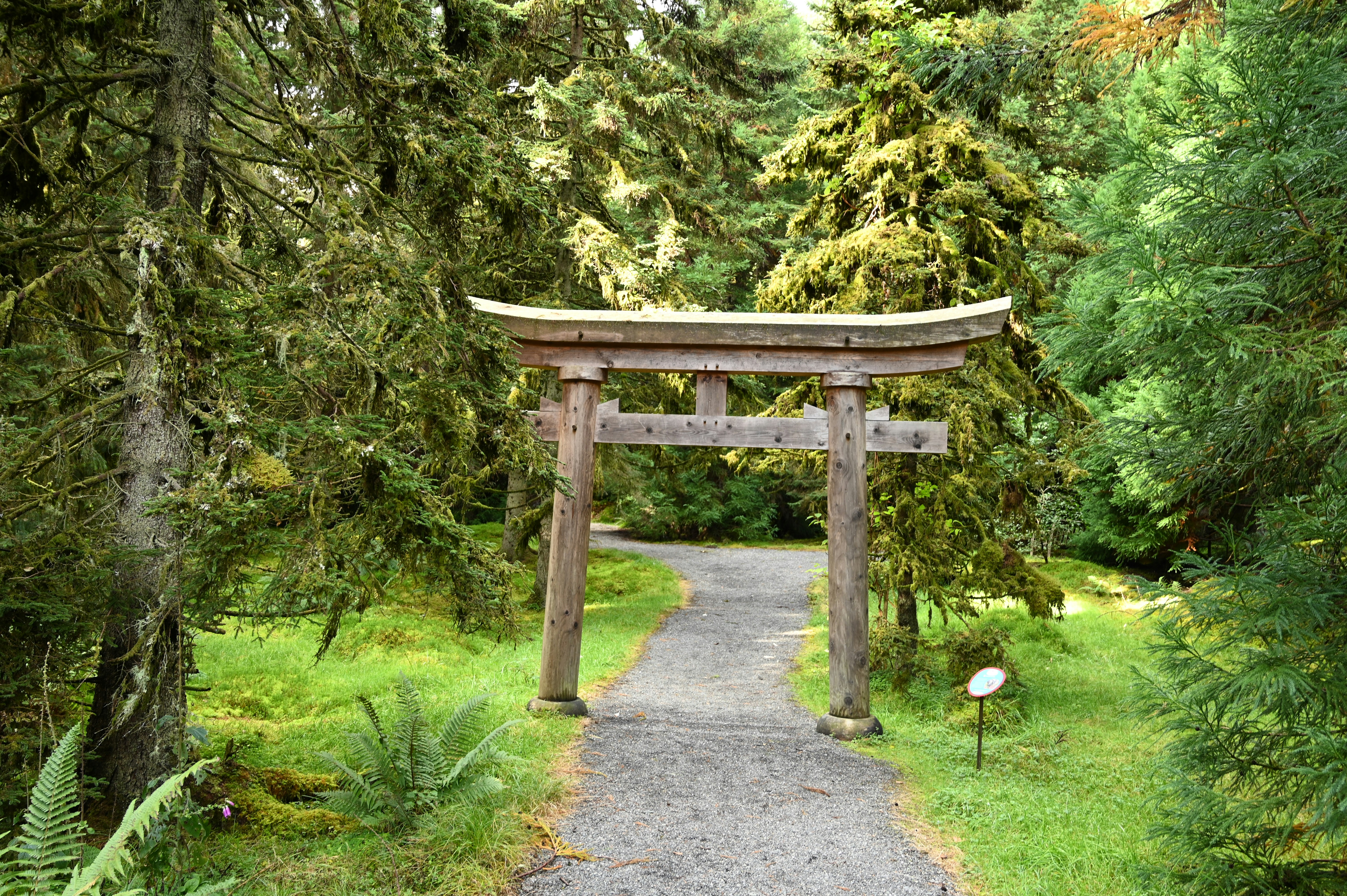 Moss-Covered Torii Framing a Tranquil Forest Path