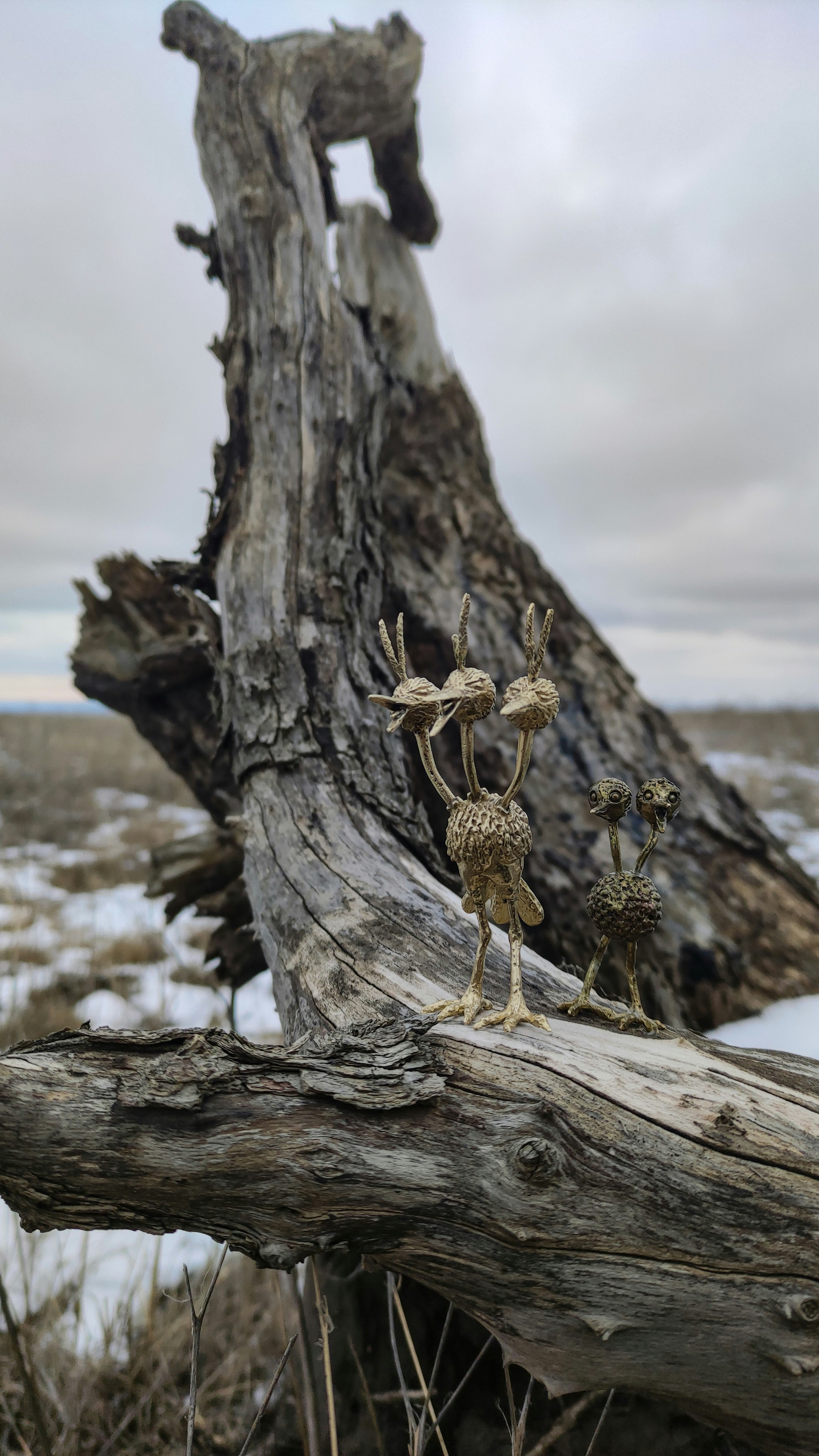 Deserted Stalks: Weathered Figures on a Fallen Trunk