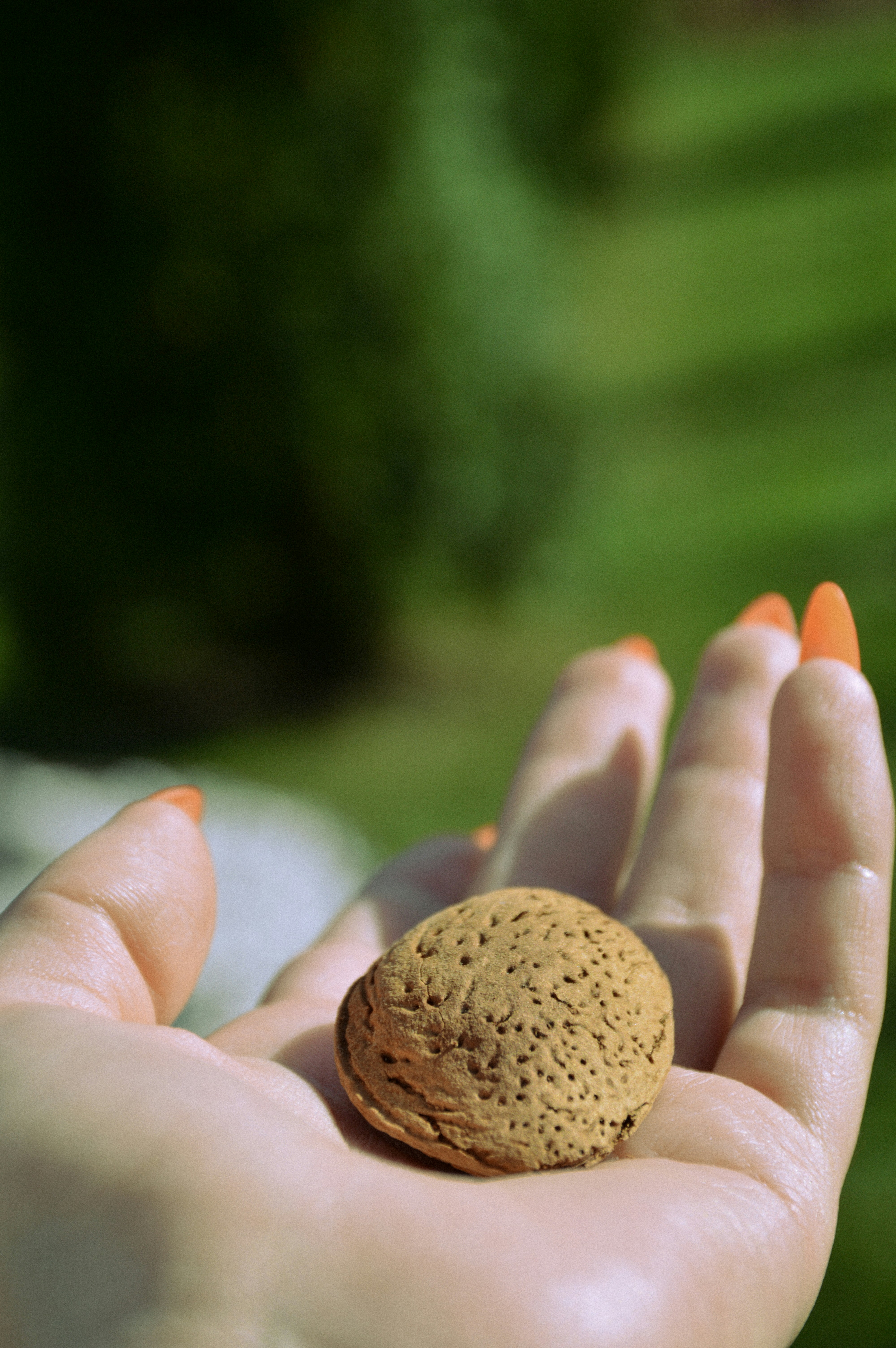 Handful of Mystery: A Nut in Quiet Sun