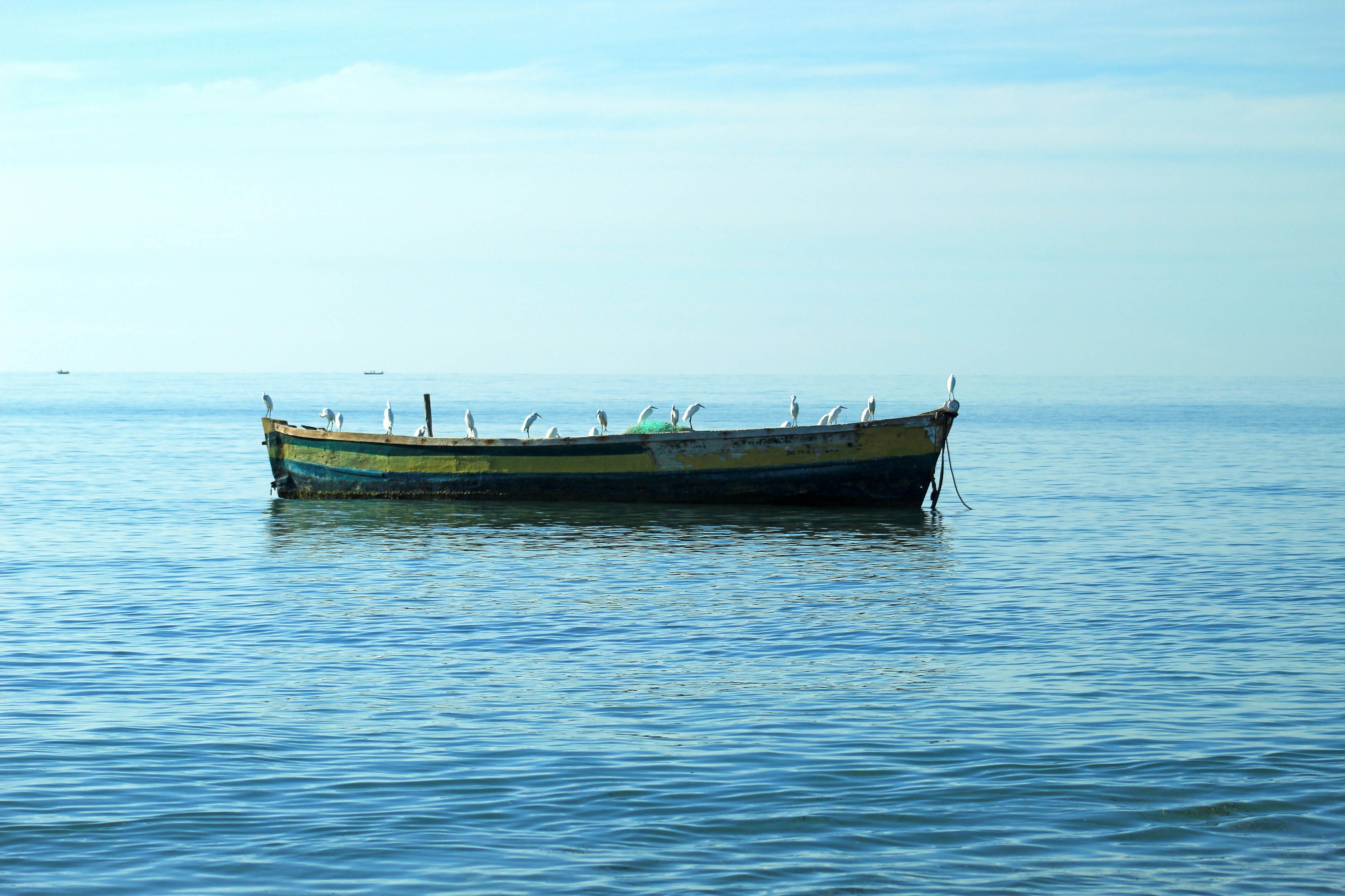 Photo by viswaprem anbarasapandian with Canon EOS 1300D