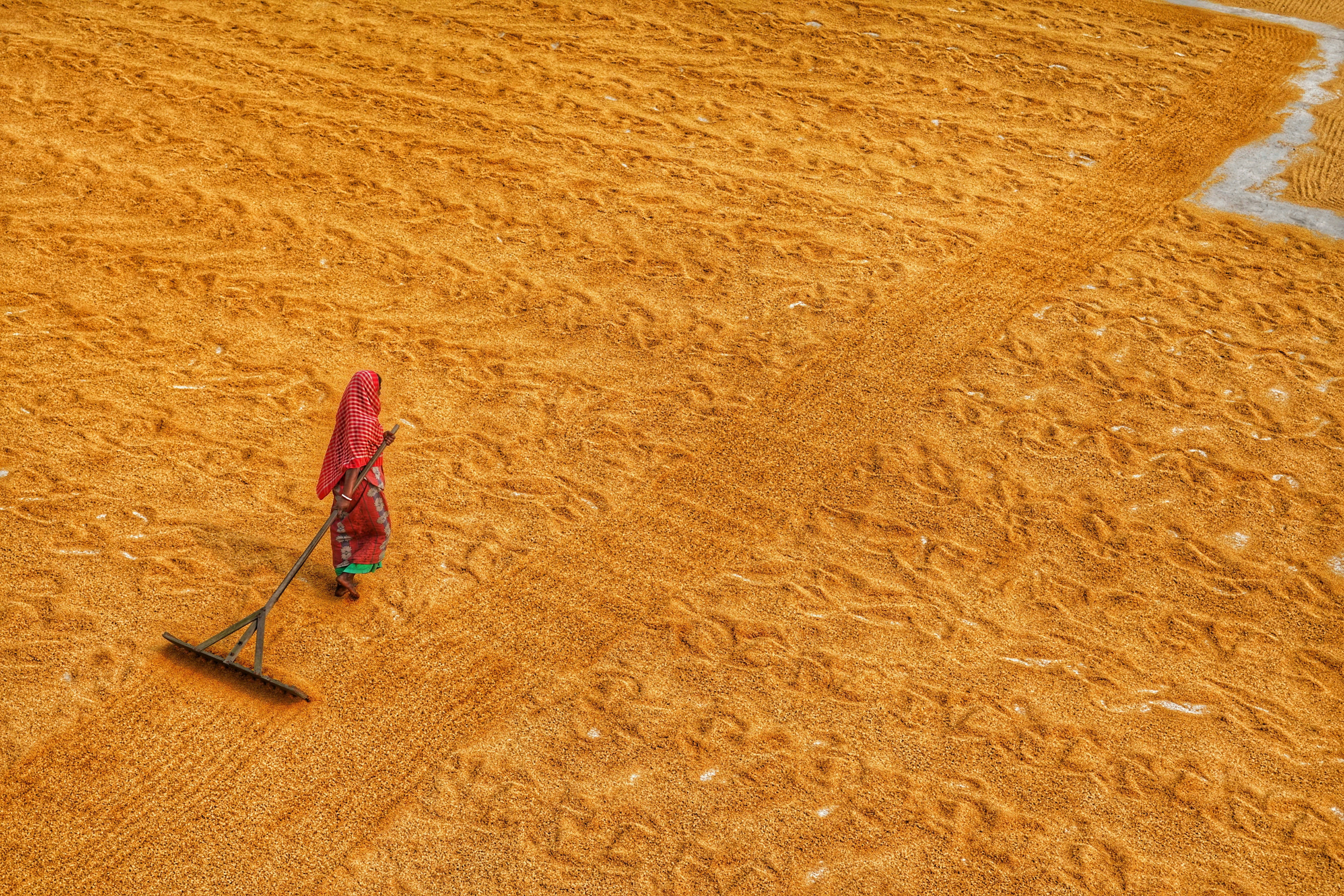 A person standing in a field with a broom photo – Free Wallpaper Image ...