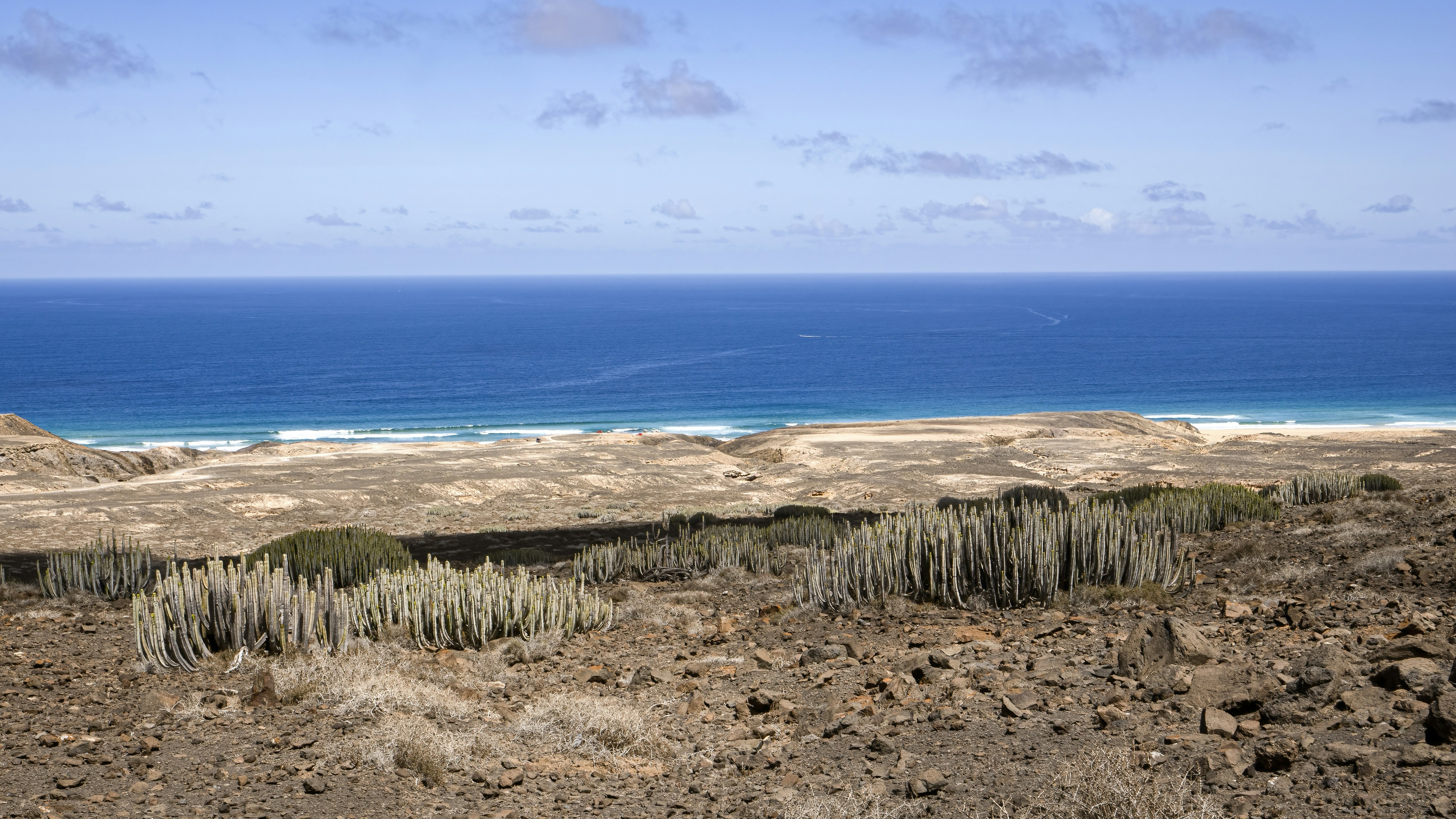 Dry Coastal Plain Meets the Deep Blue Horizon