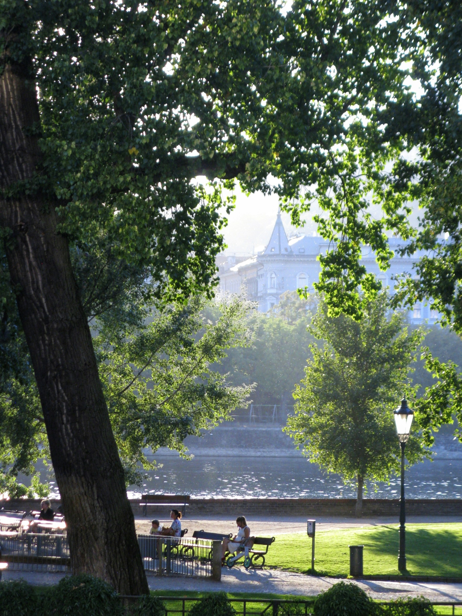Green Veil Over the River: City Spire Peeks Through the Park