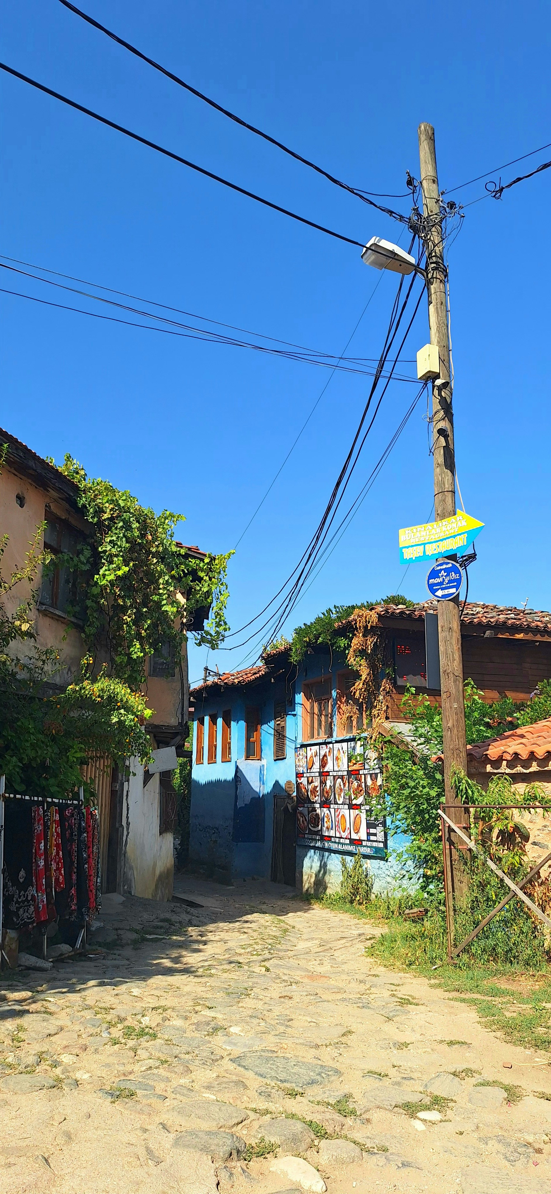 Sky Wires and Indigo Lane: A Sunlit Village Street