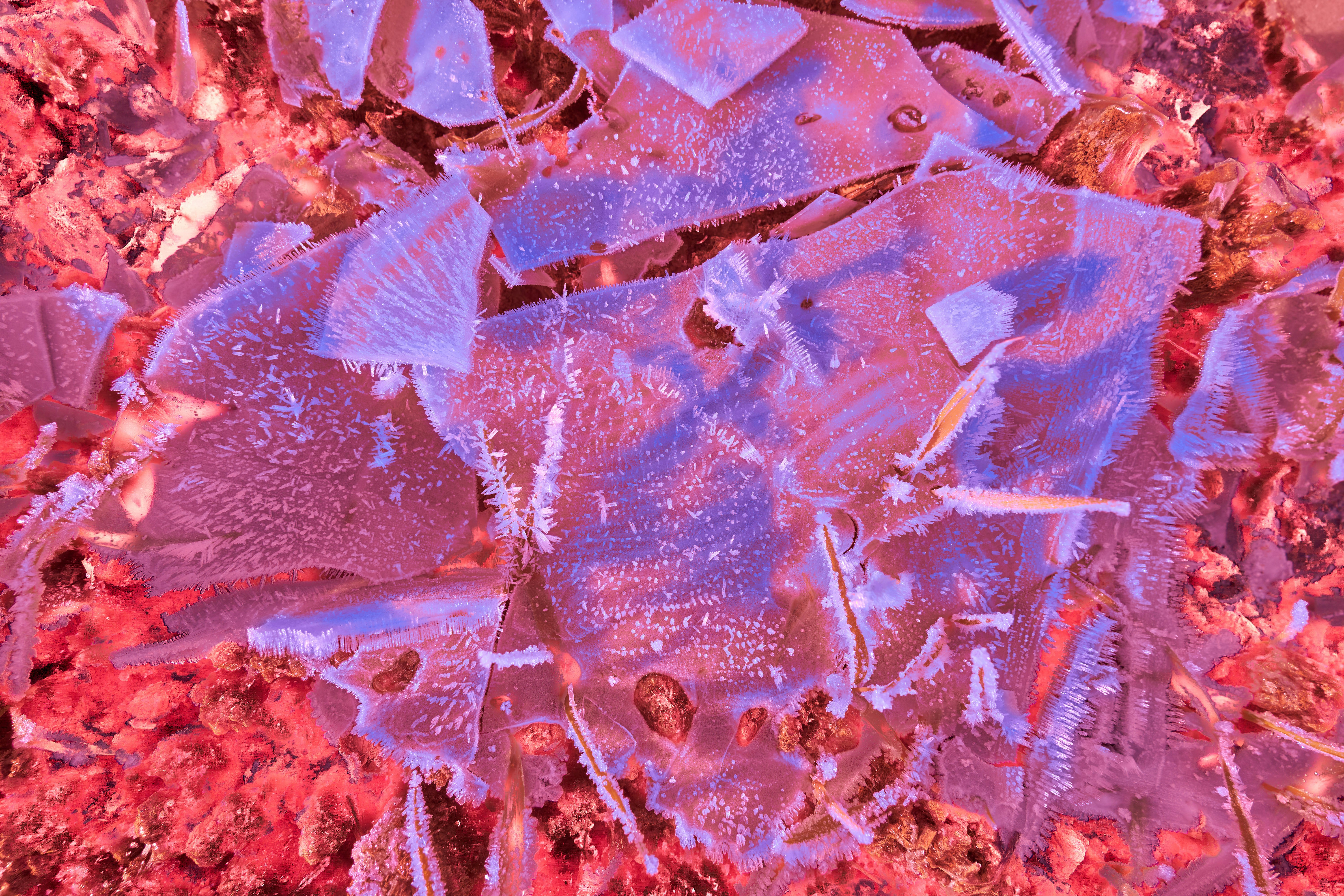 Crimson Frost Mosaic: Fractured Pink Ice Facets