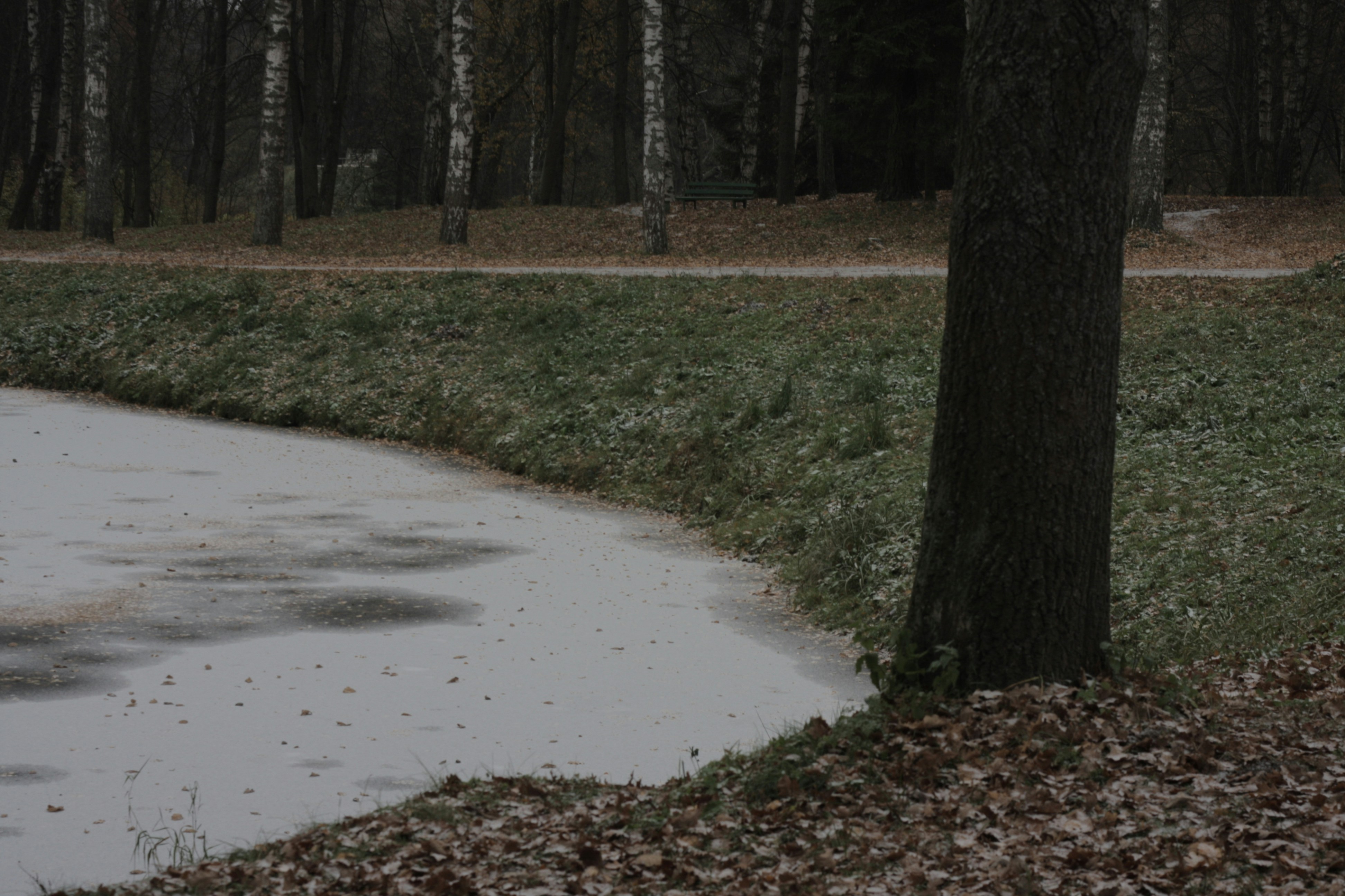 Une flaque d’eau au milieu d’un parc photo – Photo Pavlovsk Gratuite ...
