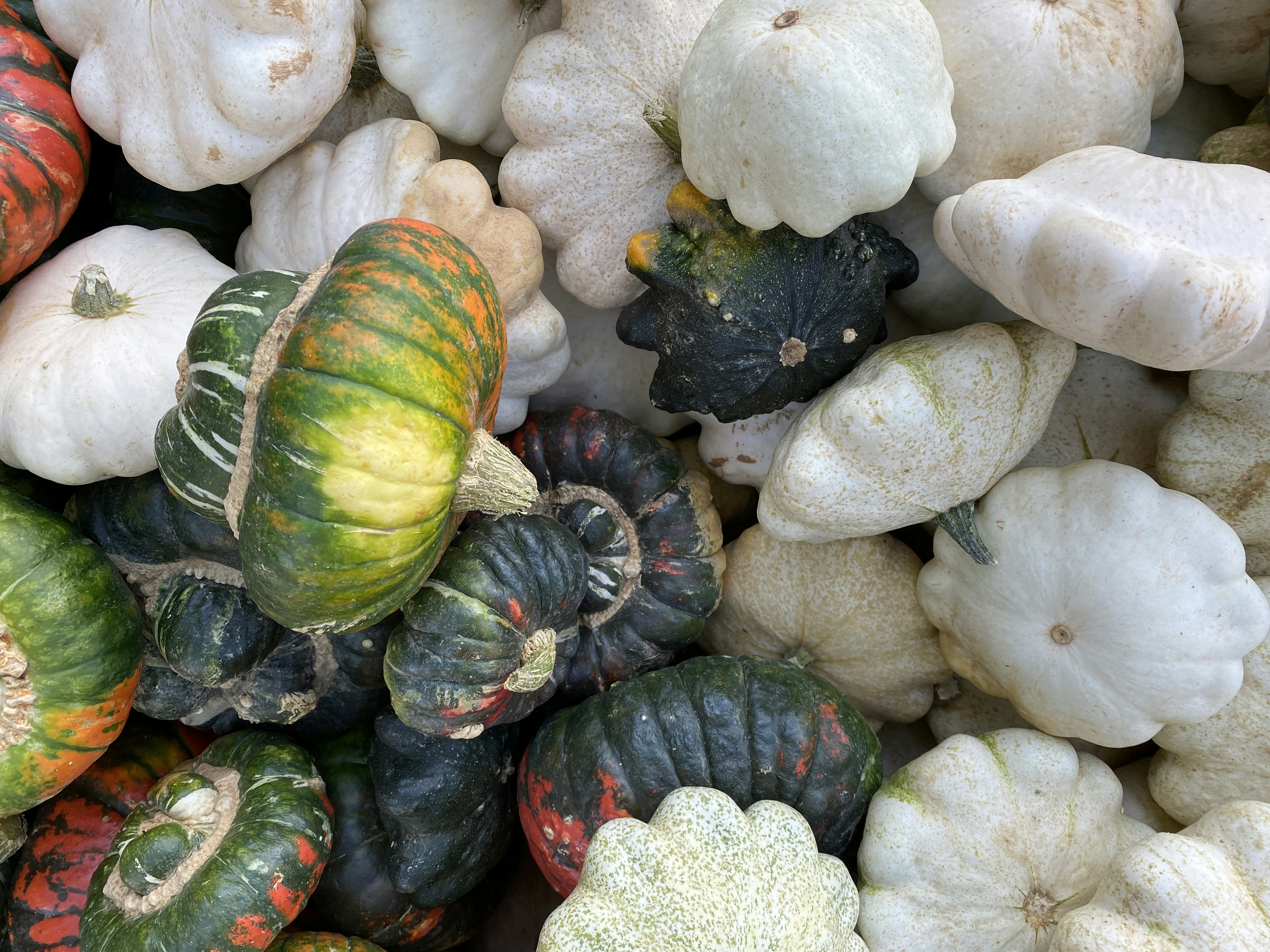 A pile of different colored gourds sitting next to each other photo ...