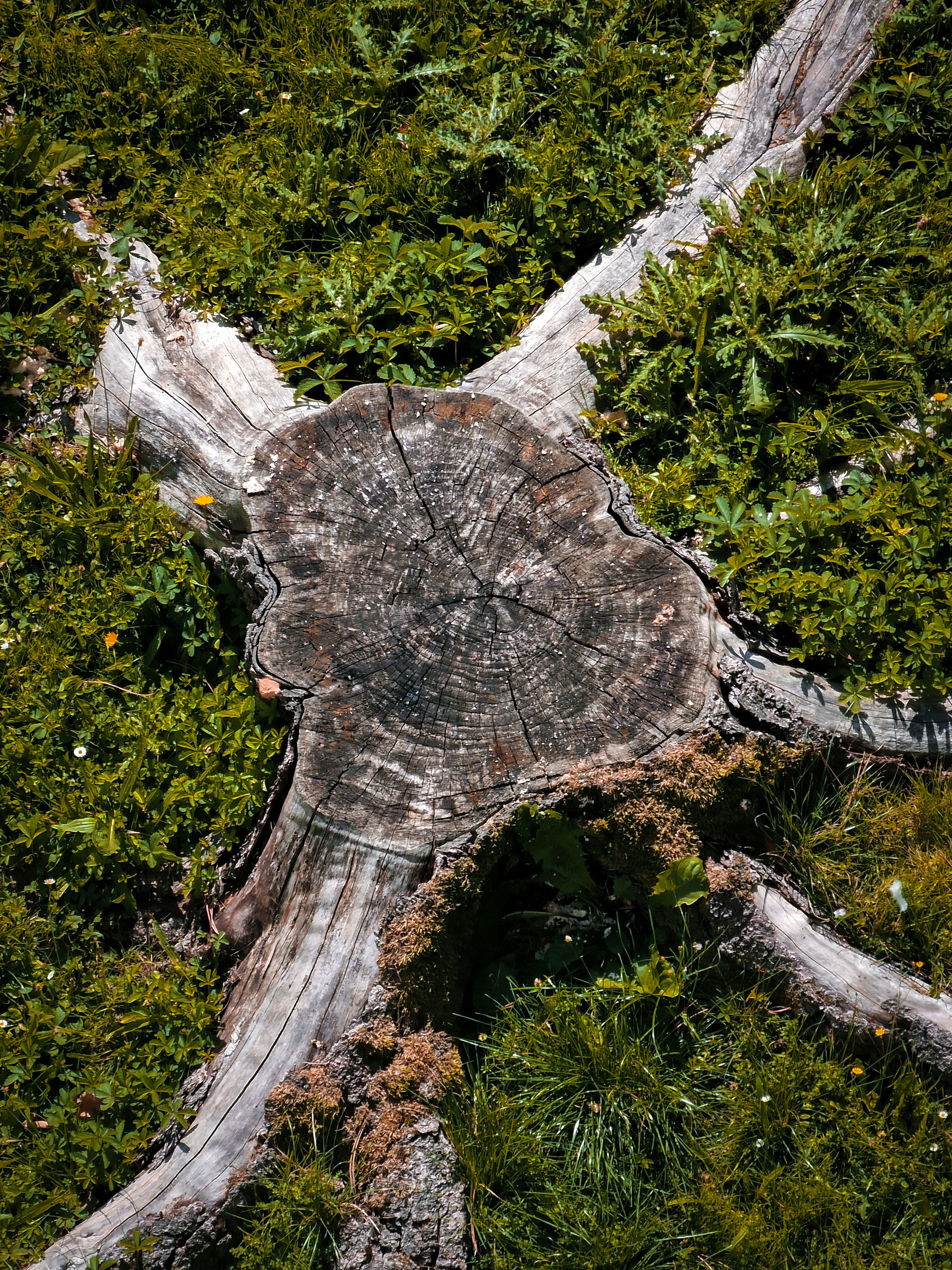 Photo by Meshaal Al Hajali with Samsung Galaxy S22 Ultra