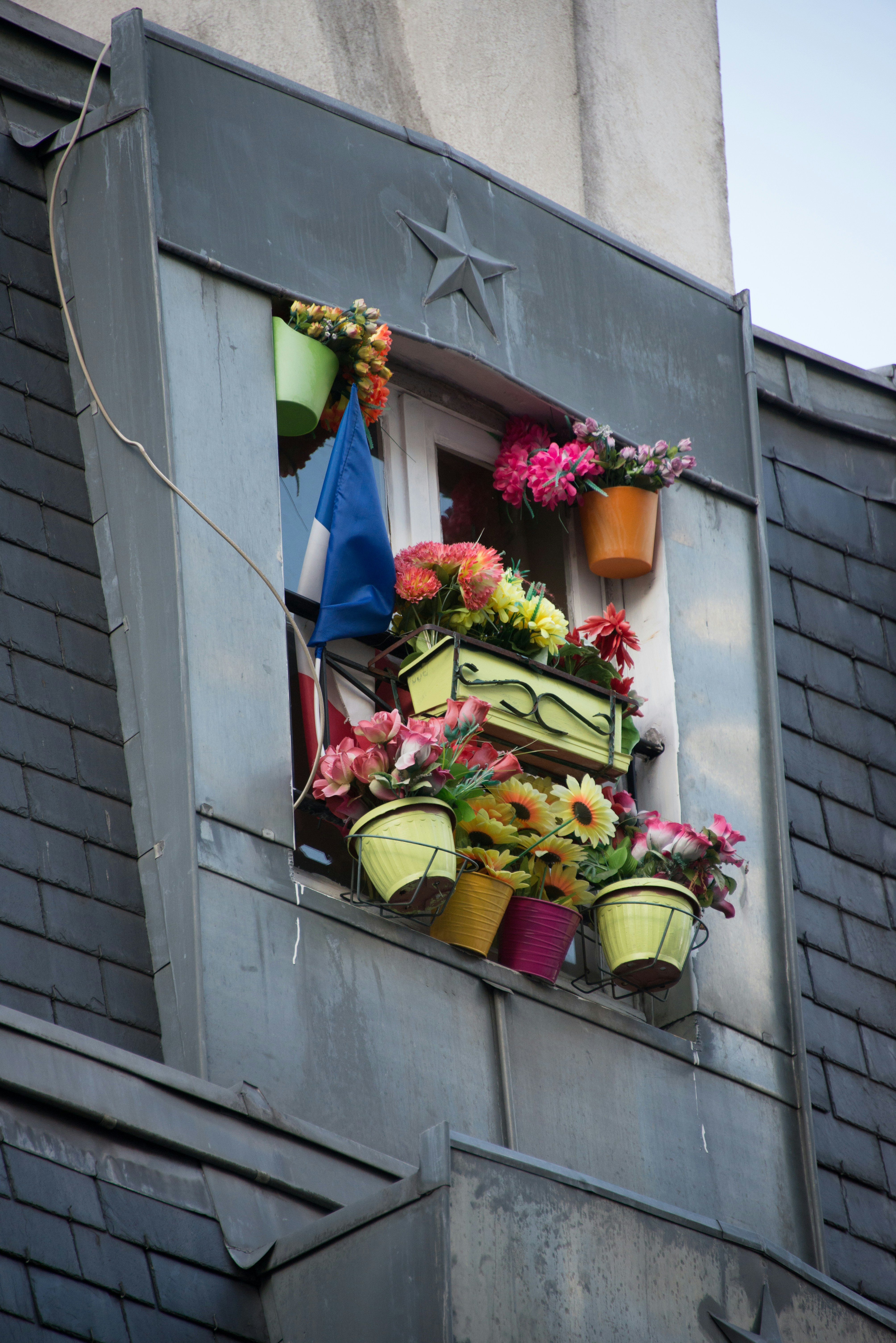 Vibrant Urban Oasis: A Floral Balcony Display