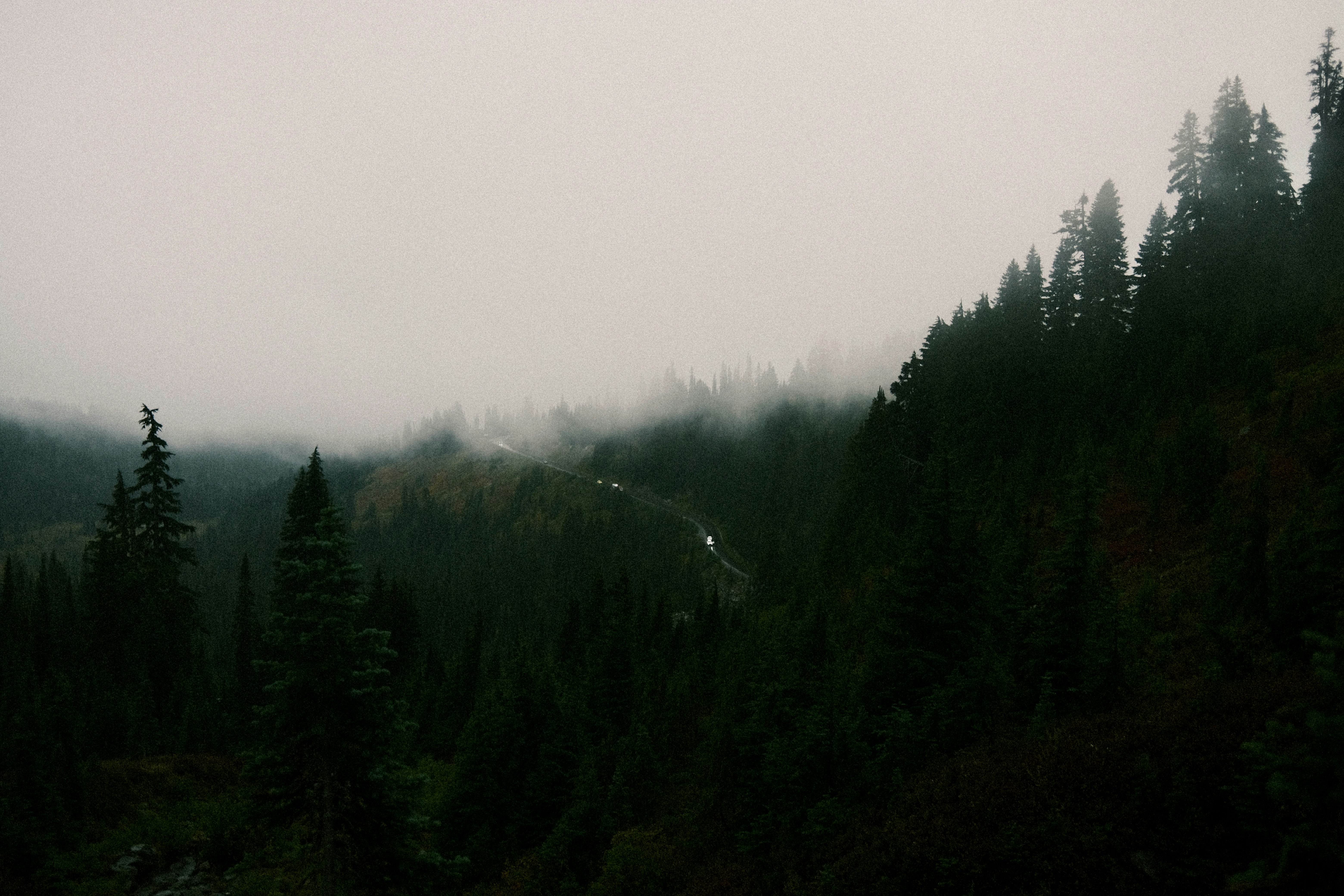 Hiking Rain Pictures | Download Free Images on Unsplash