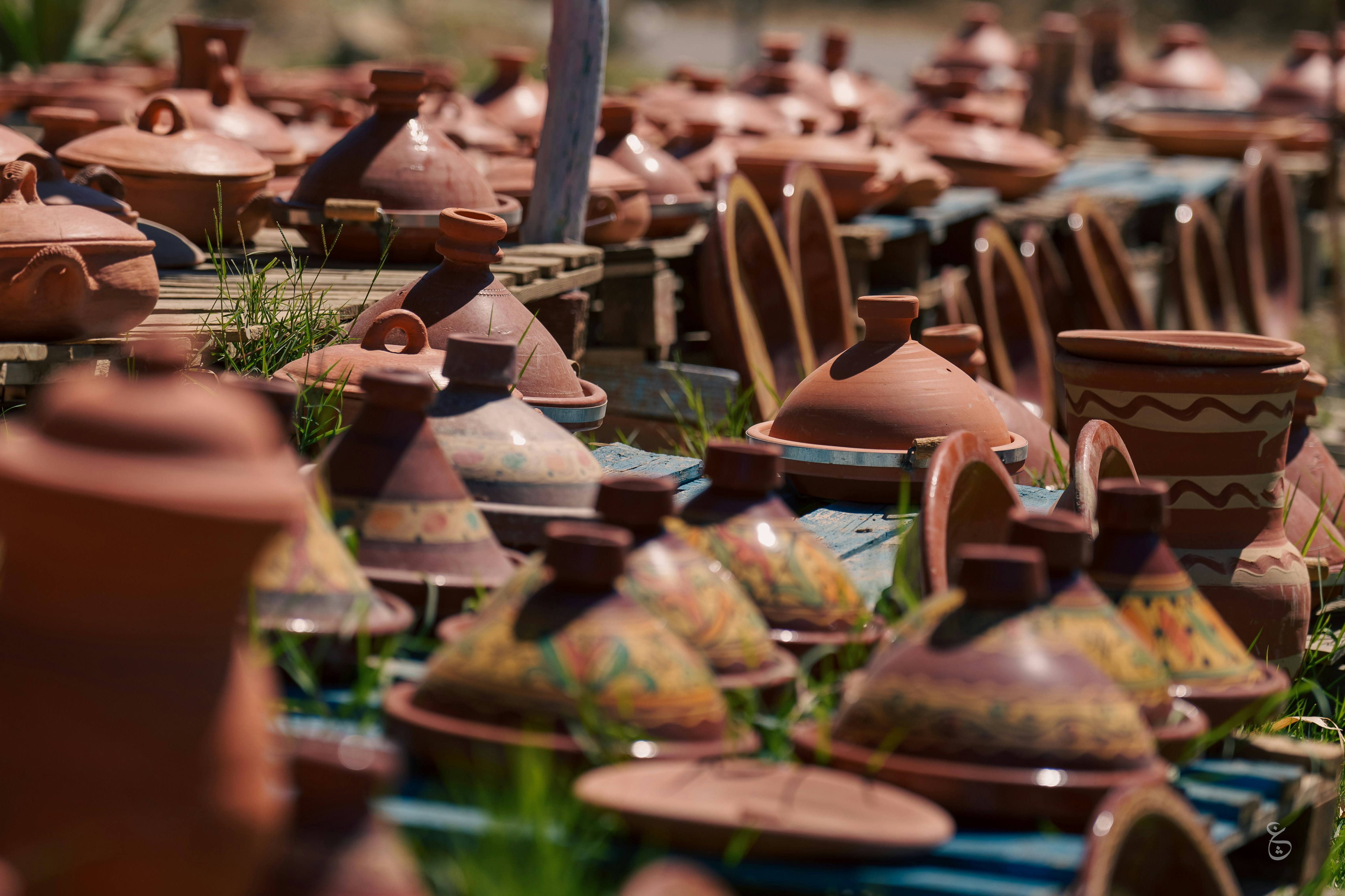 Terracotta Chorus: Sunlit Rows of Handcrafted Jars