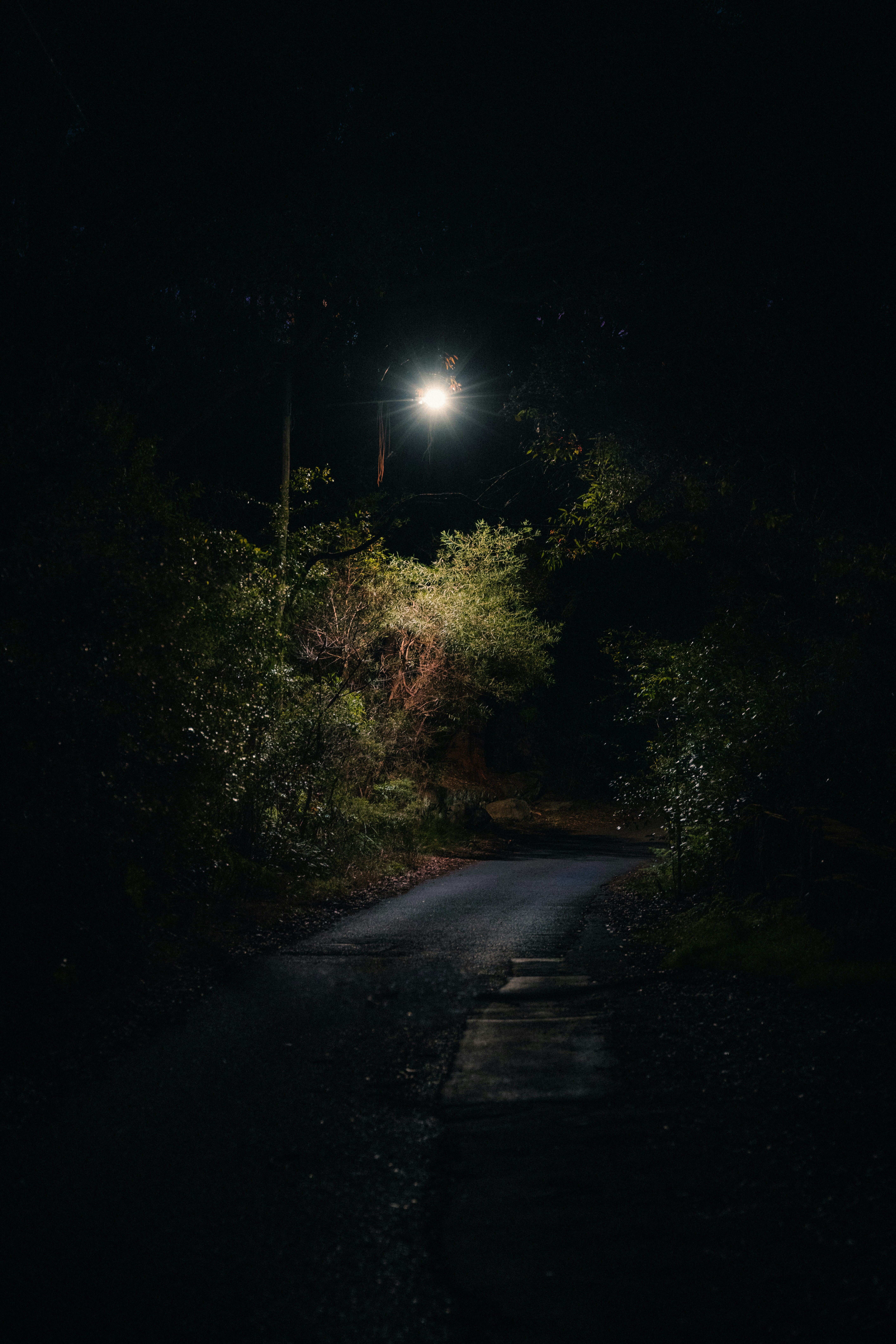 A dark road at night with a street light in the distance photo – Free ...