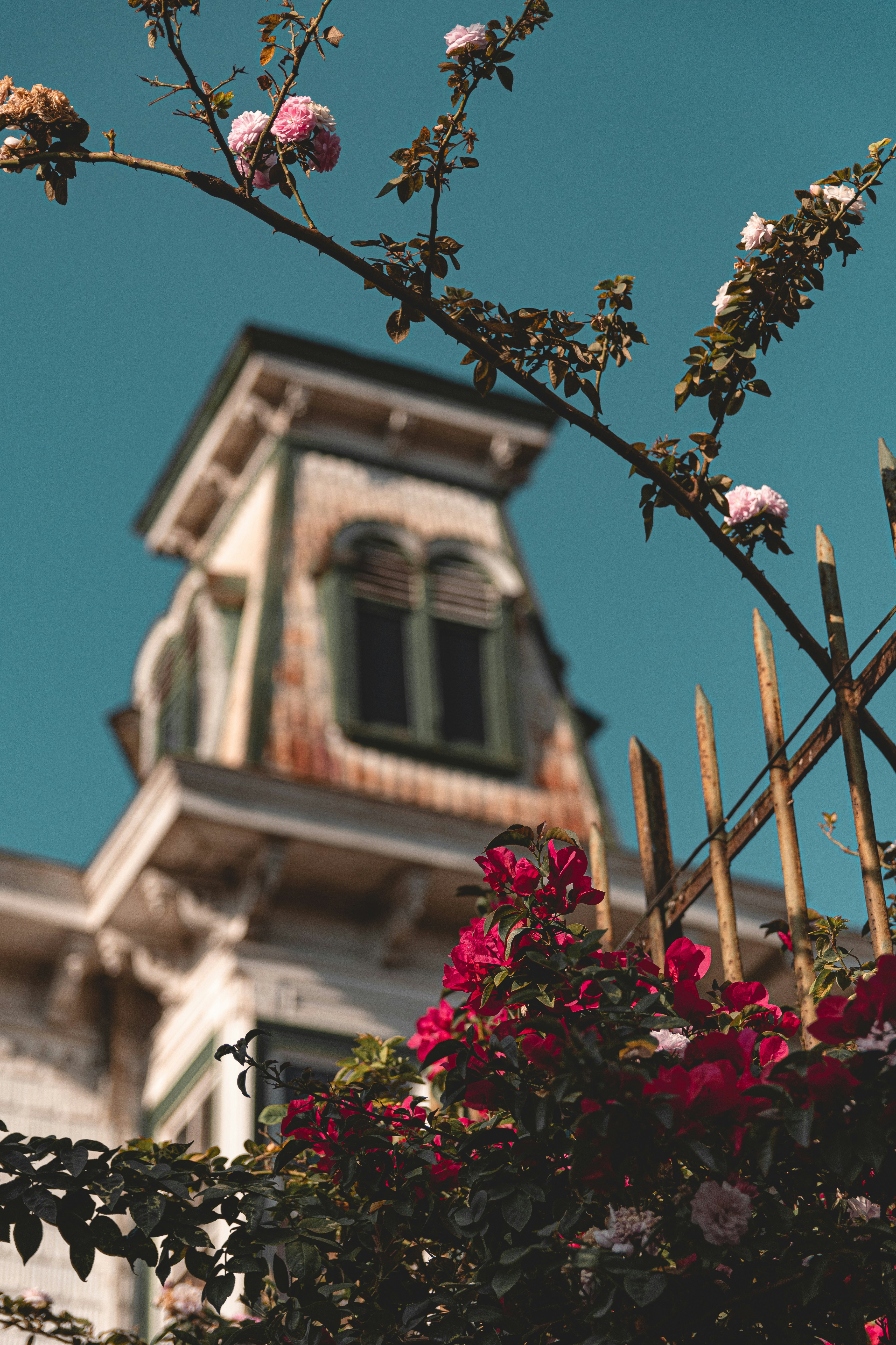 Blooms Framing a Timeworn Turret