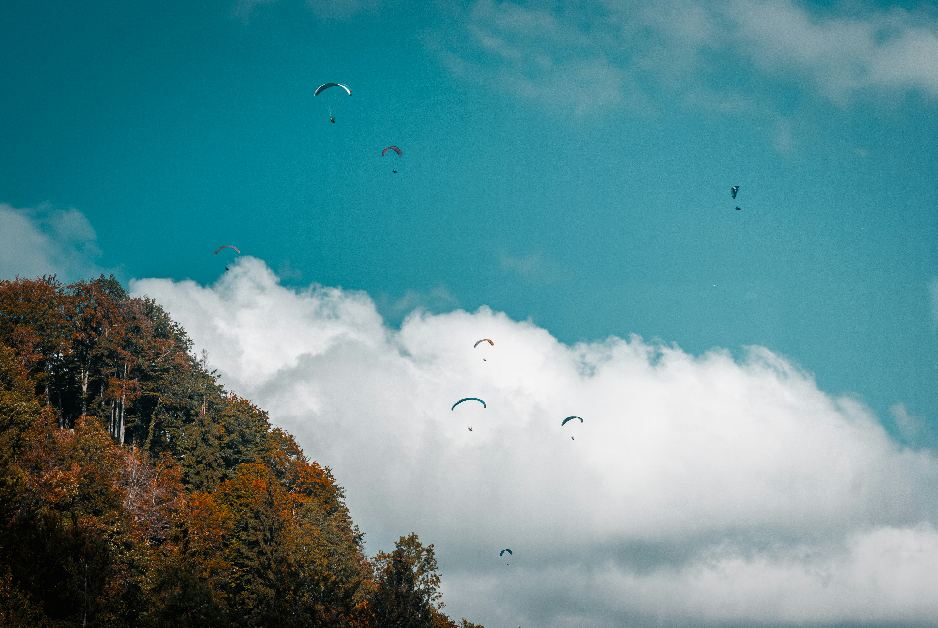 A group of people flying kites on a cloudy day photo – Free Aesthetic ...