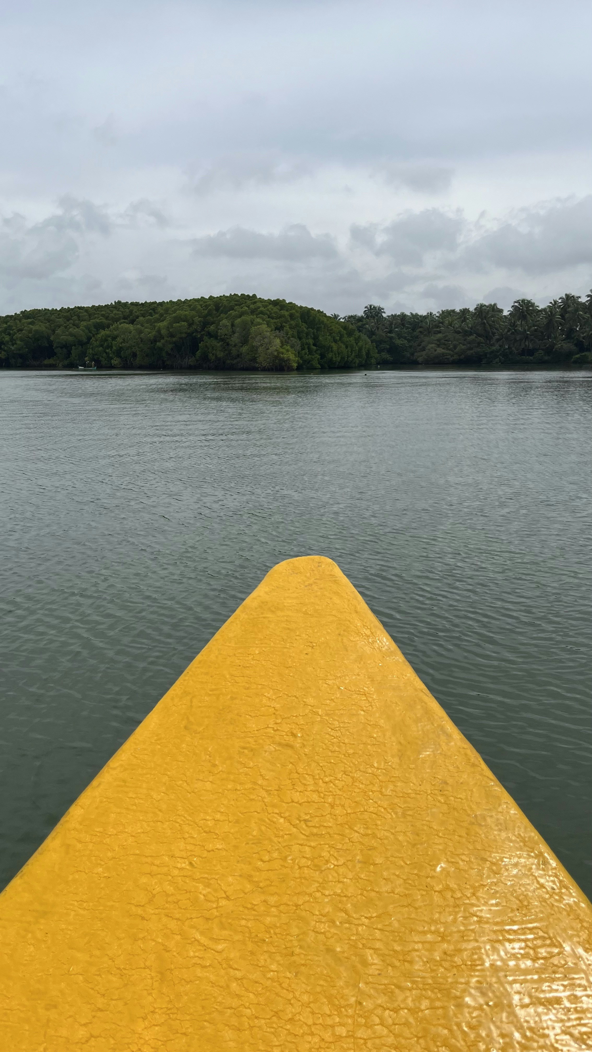 Yellow Bow at the Edge of Calm: A Kayak's Approach to a Mangrove Isle