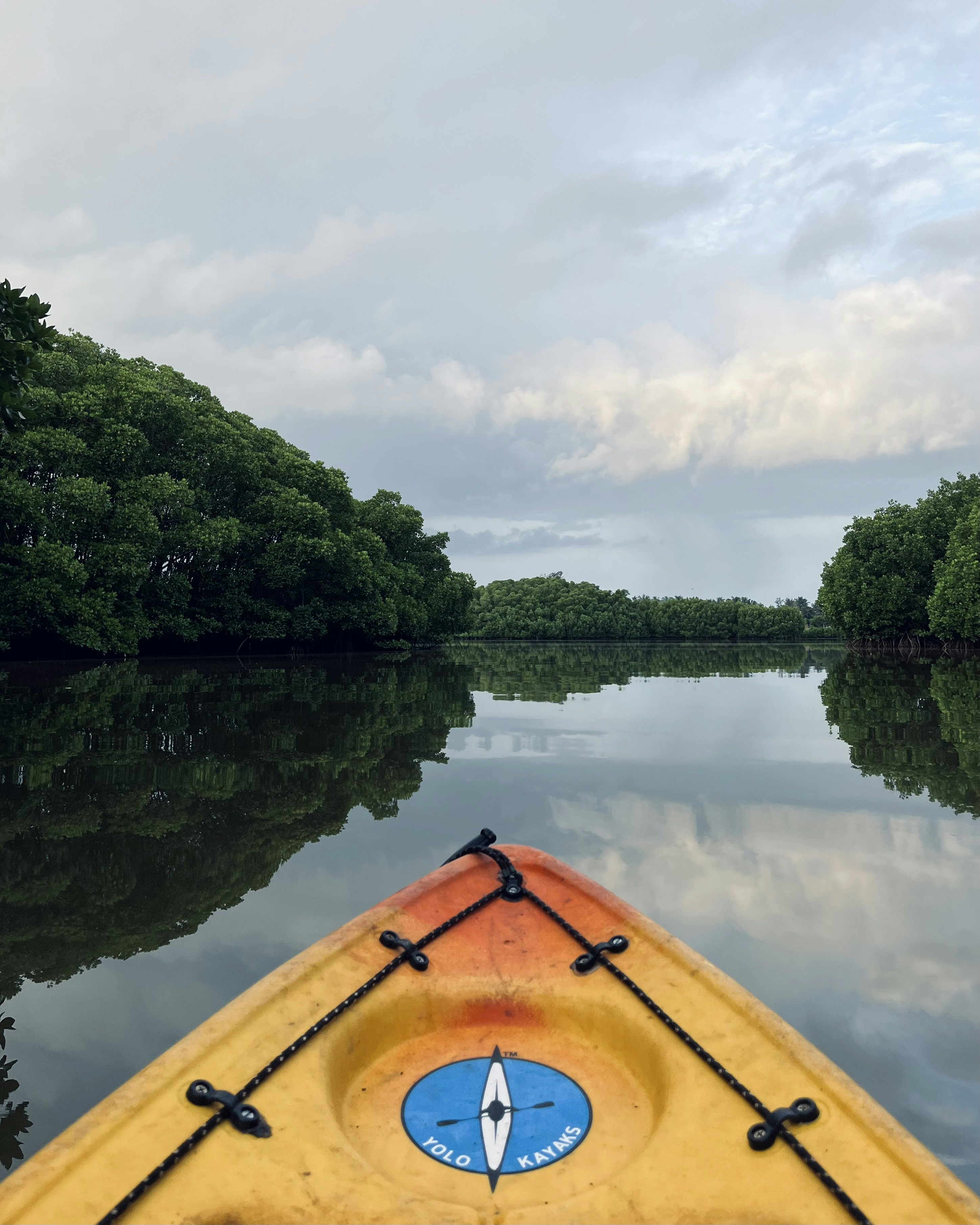 A view of a river from a kayak photo – Free Zone 51 kodi kayak point ...