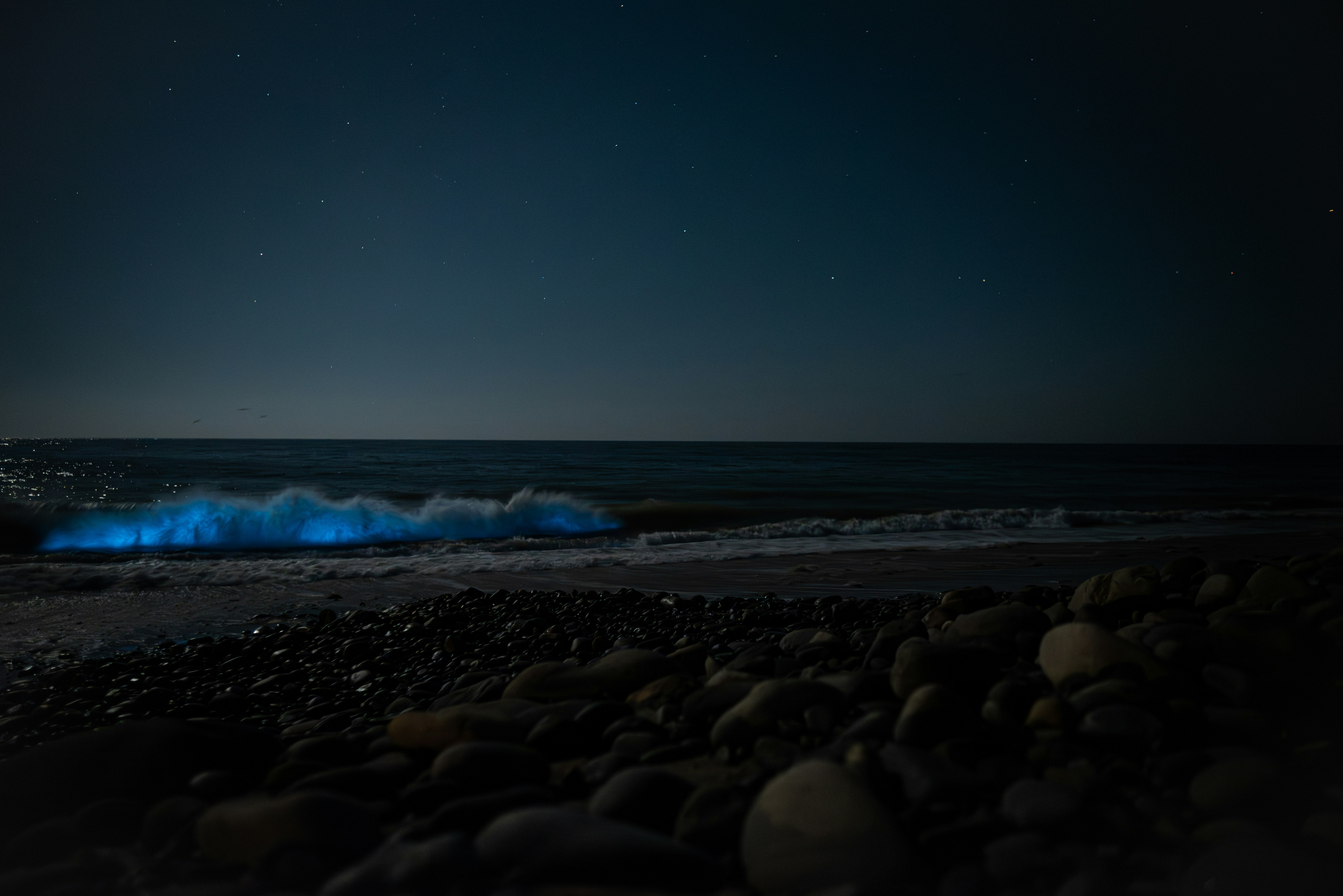 A night time view of the ocean with a bright blue wave photo – Free ...