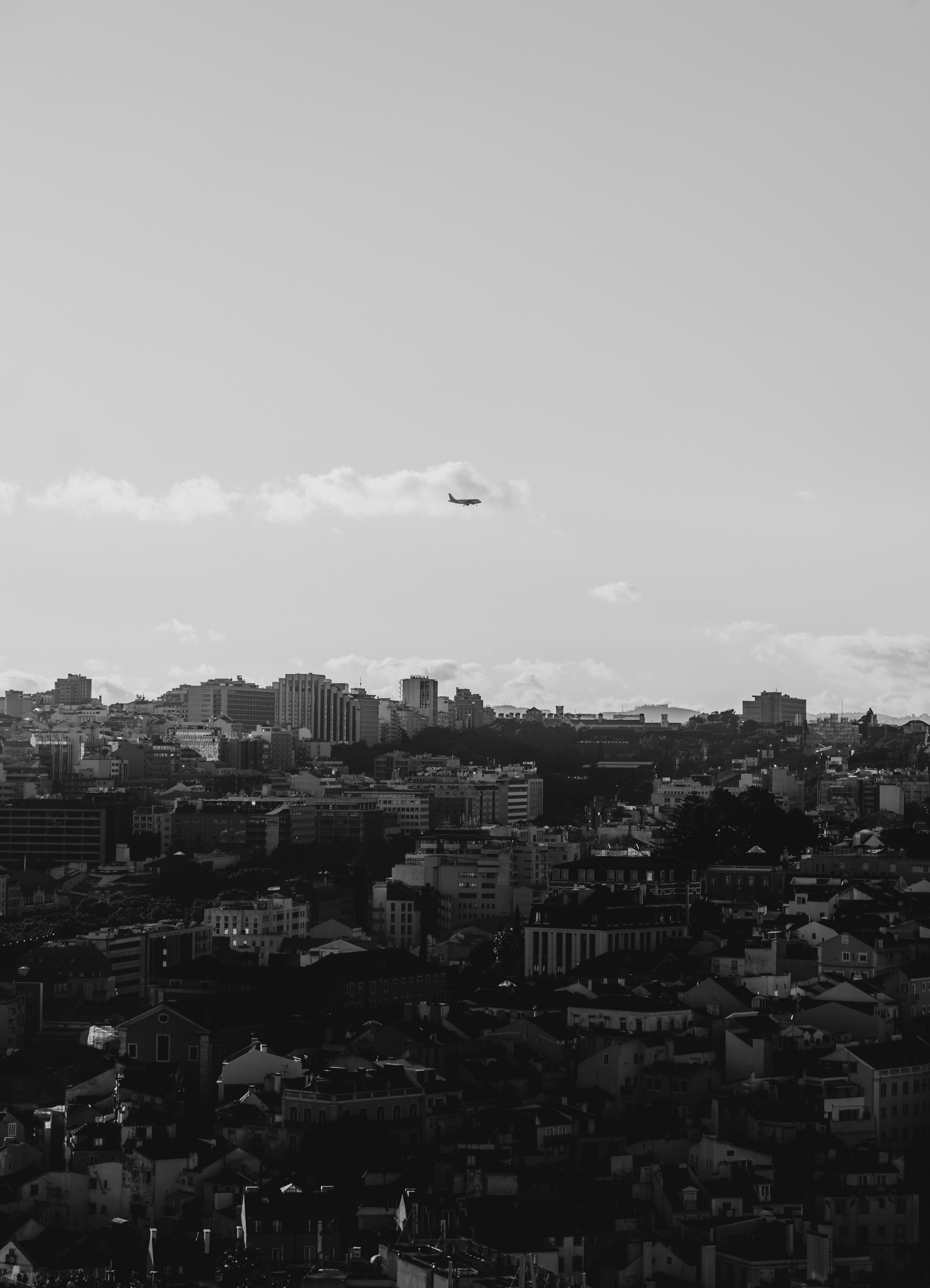 Airliner over a Sea of Dwellings