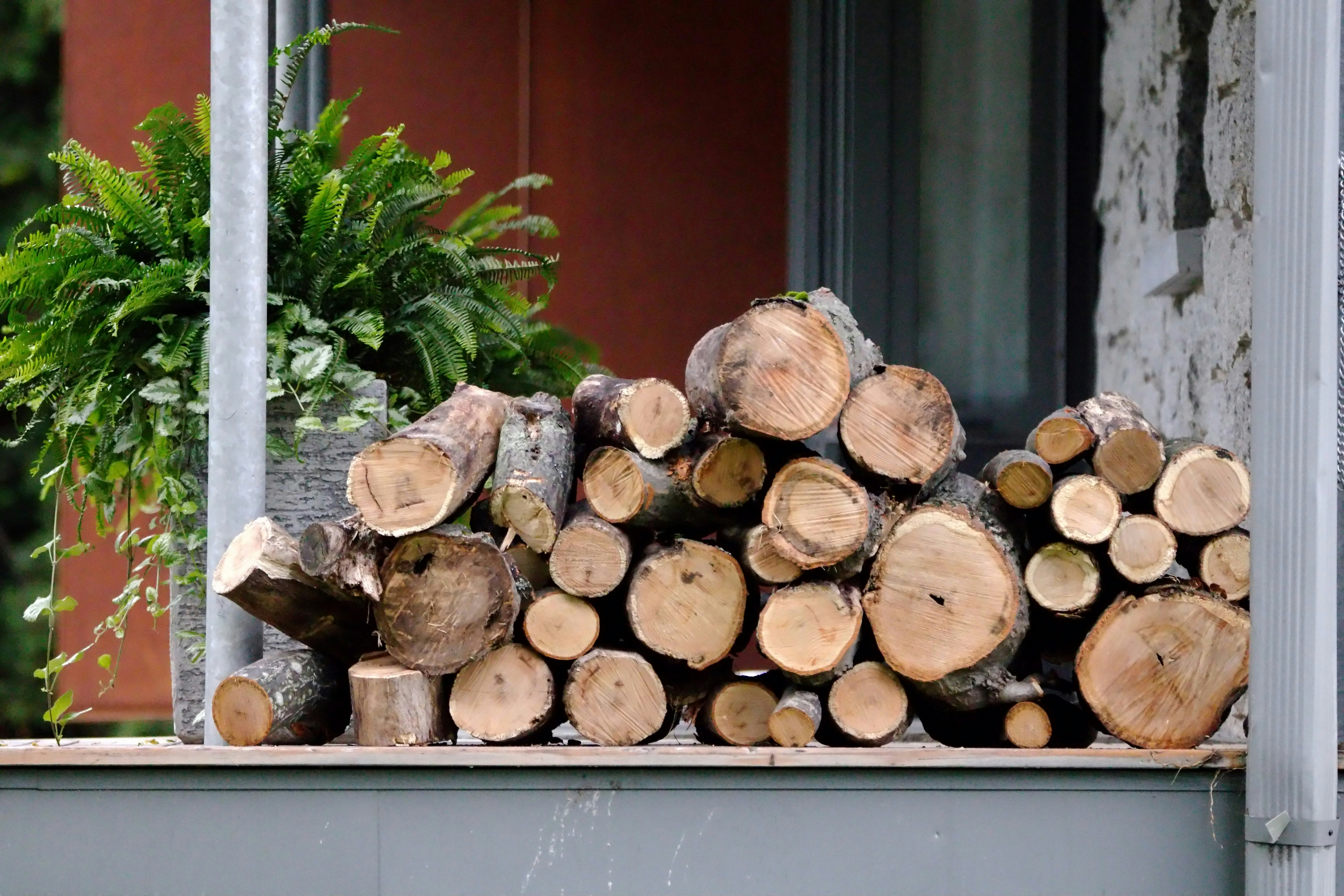 Logs Braced by a Balcony—A Quiet Urban Woodpile