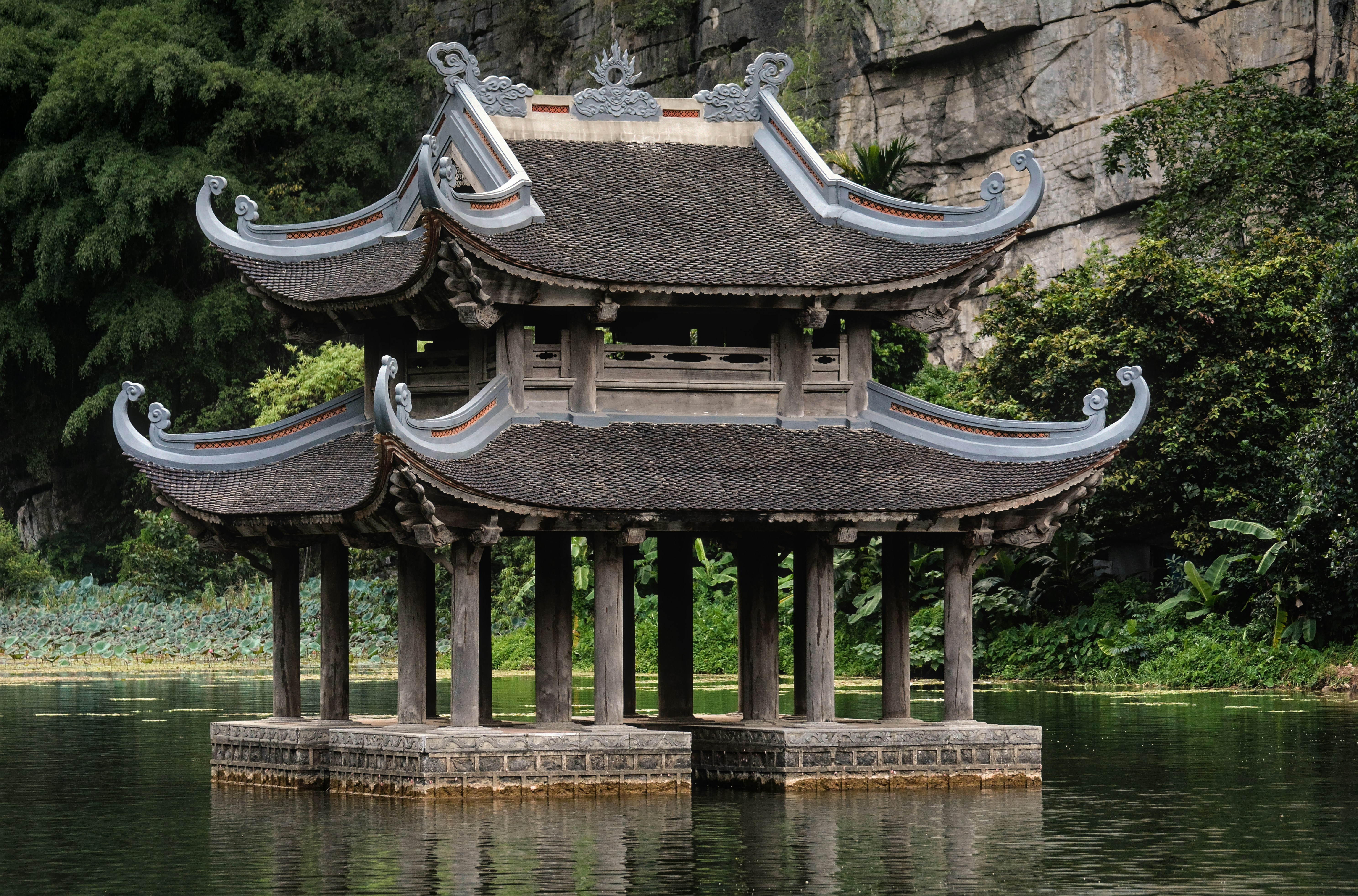 Traditional Chinese pavilion with ornate roof stands on stilts above a tranquil pond surrounded by lush greenery.
